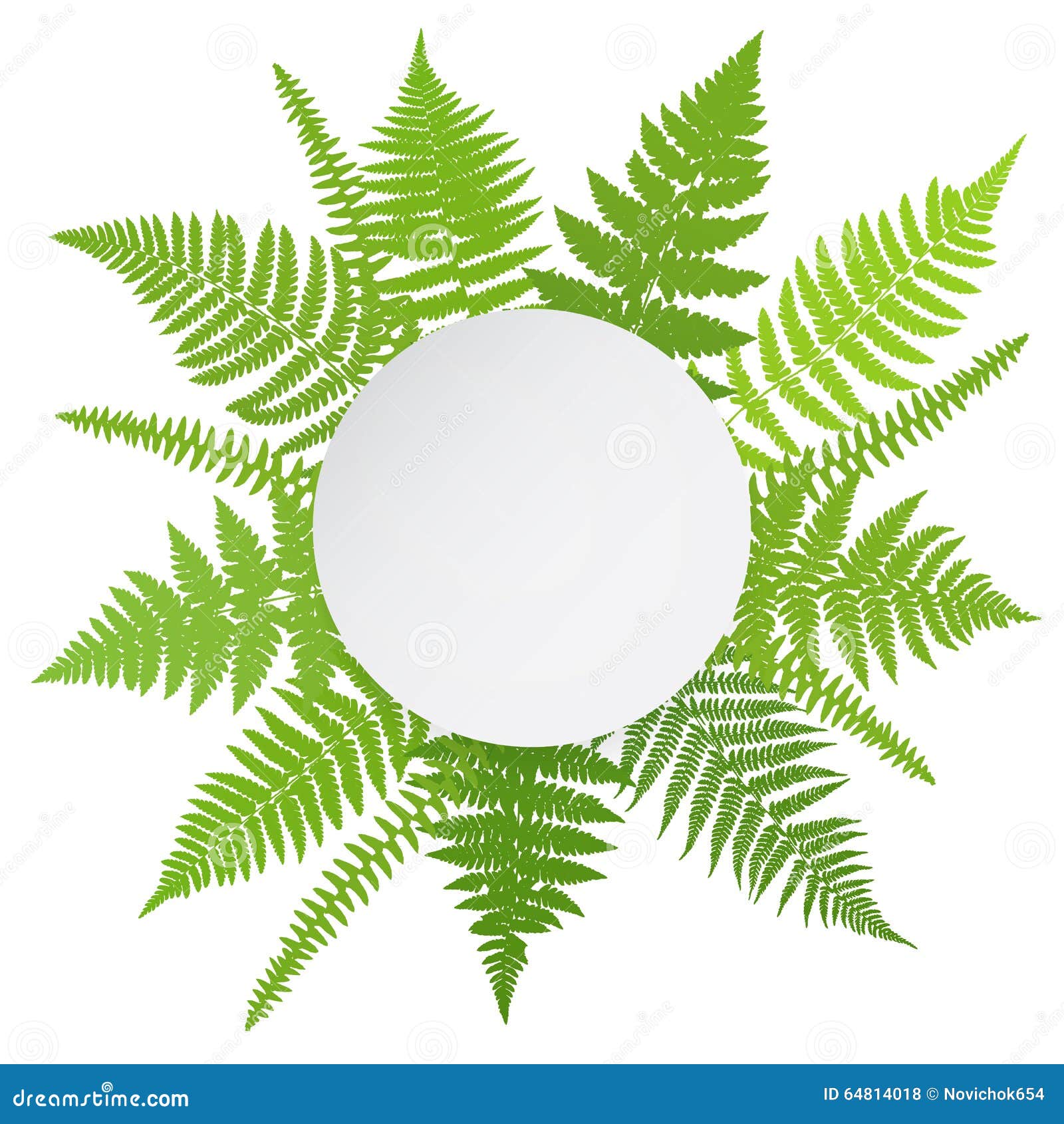 Fern Or Frond With Leaves And Erect Stem Vector Illustration Stock ...