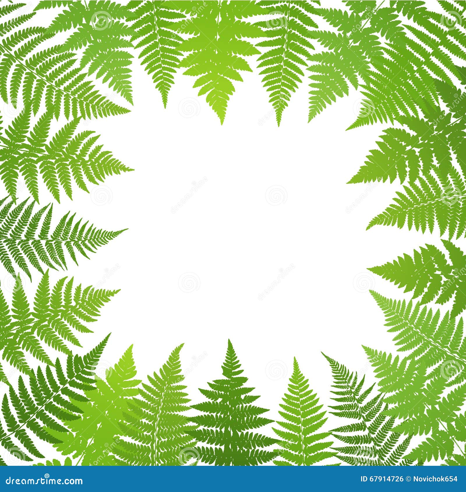 Jungle Poster. Fern Frond Background. Vector Illustration ...