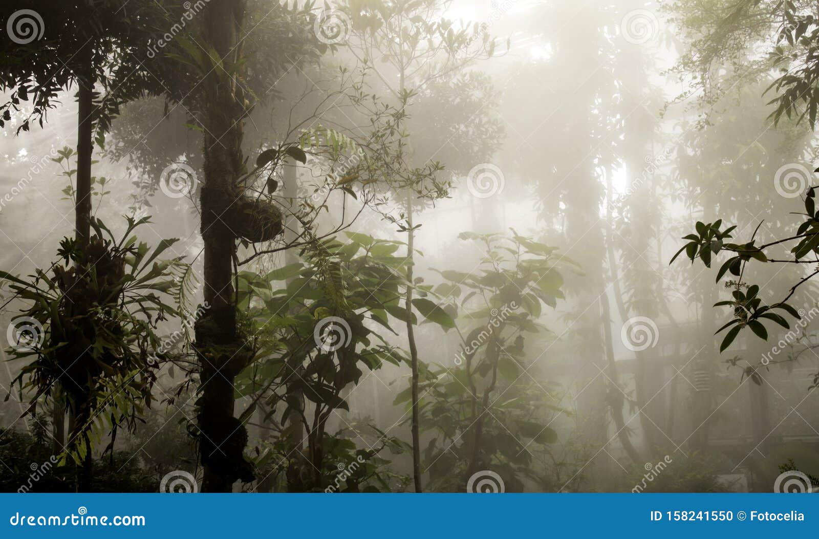 48,084 Wonderful Weather Stock Photos - Free & Royalty-Free Stock ...