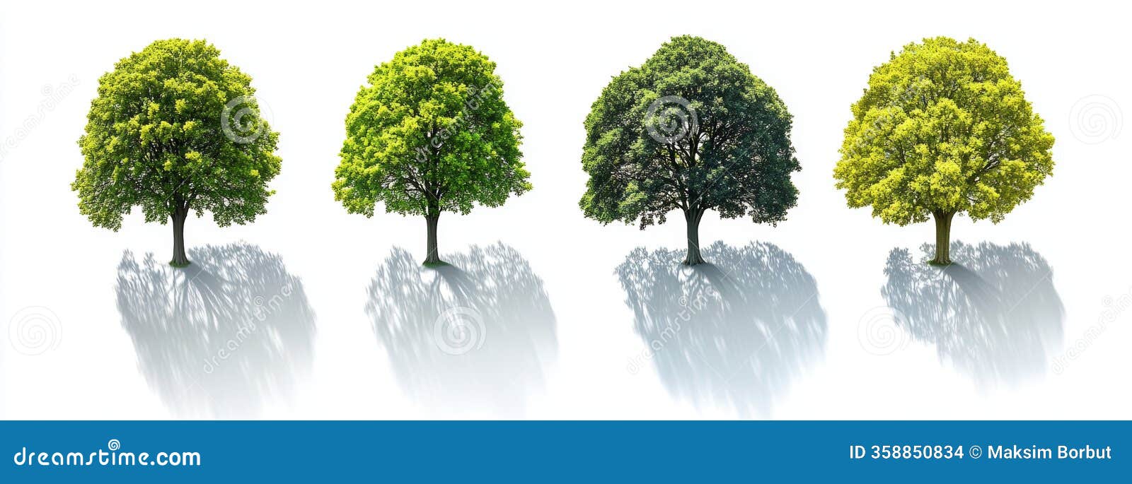 Jungle Rainforest Tree Shapes Cutout 3d Render Png Set Stock ...