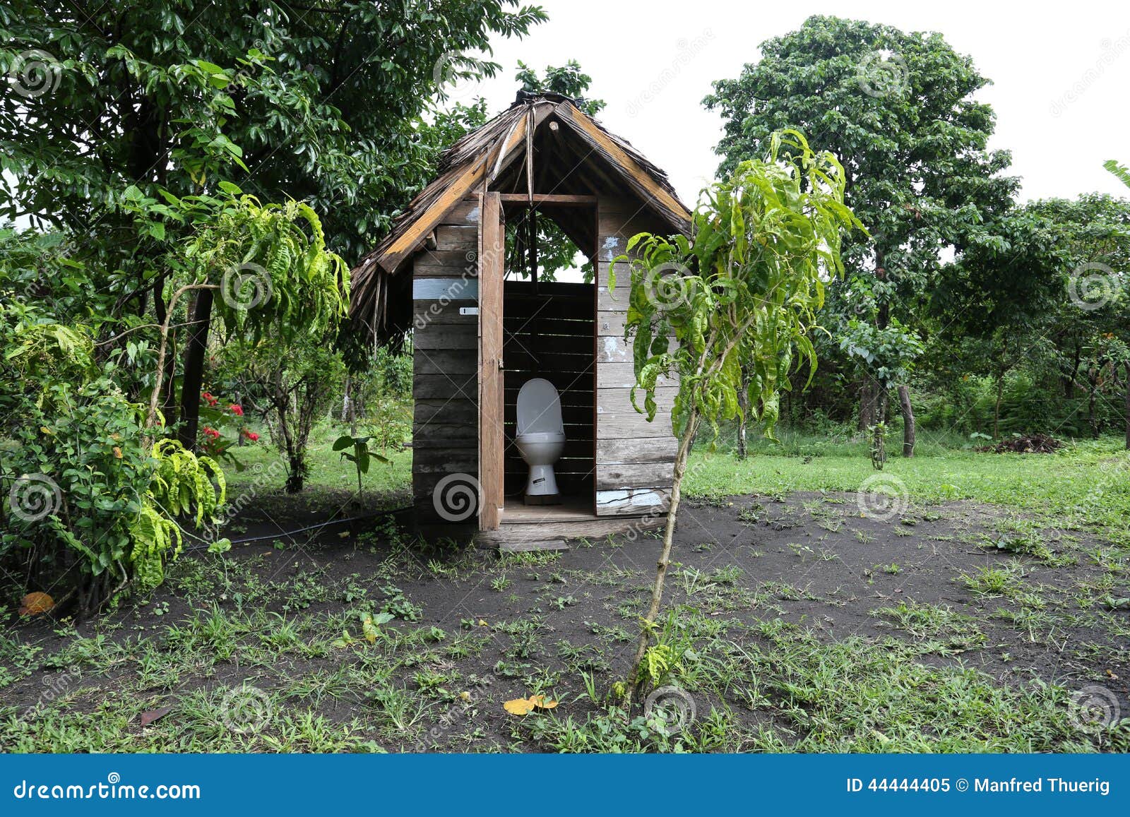 Jungle Toilet Accessories at Christopher Shirley blog