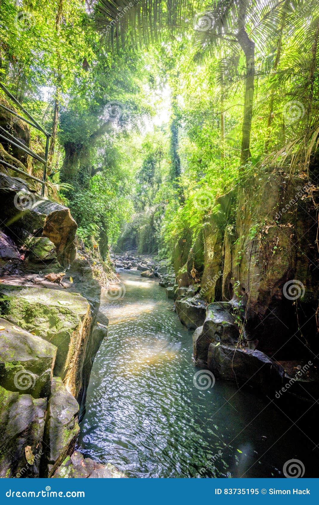 A Jungle River in Bali,indonesia Stock Image - Image of beautiful ...