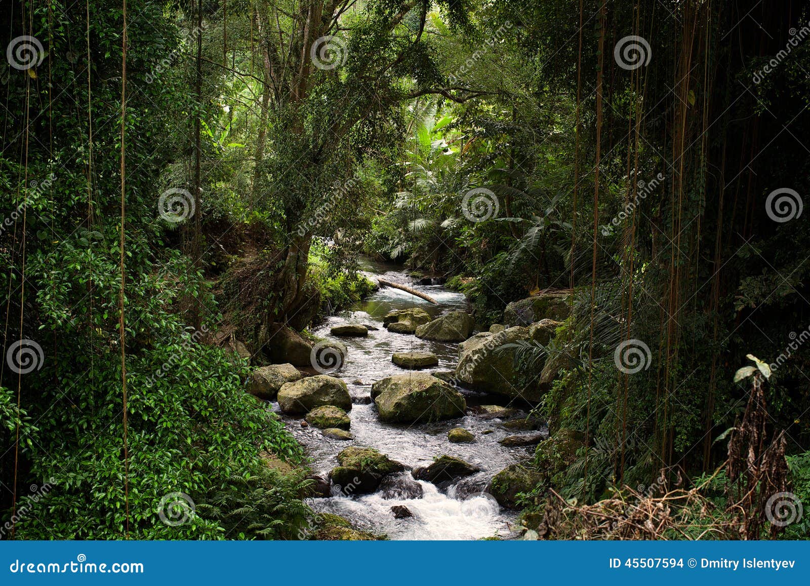 Jungle River stock photo. Image of clouds, bright, indonesia - 45507594