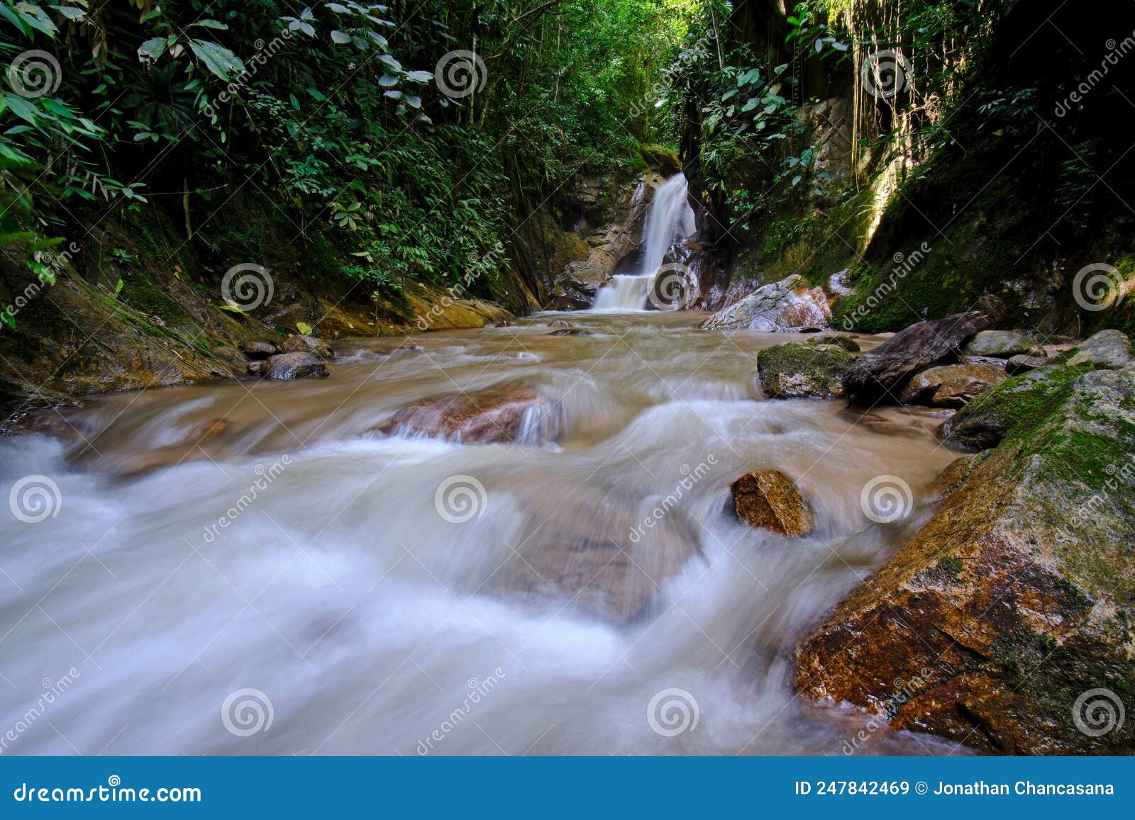Jungle and river stock image. Image of amazing, rocks - 247842469