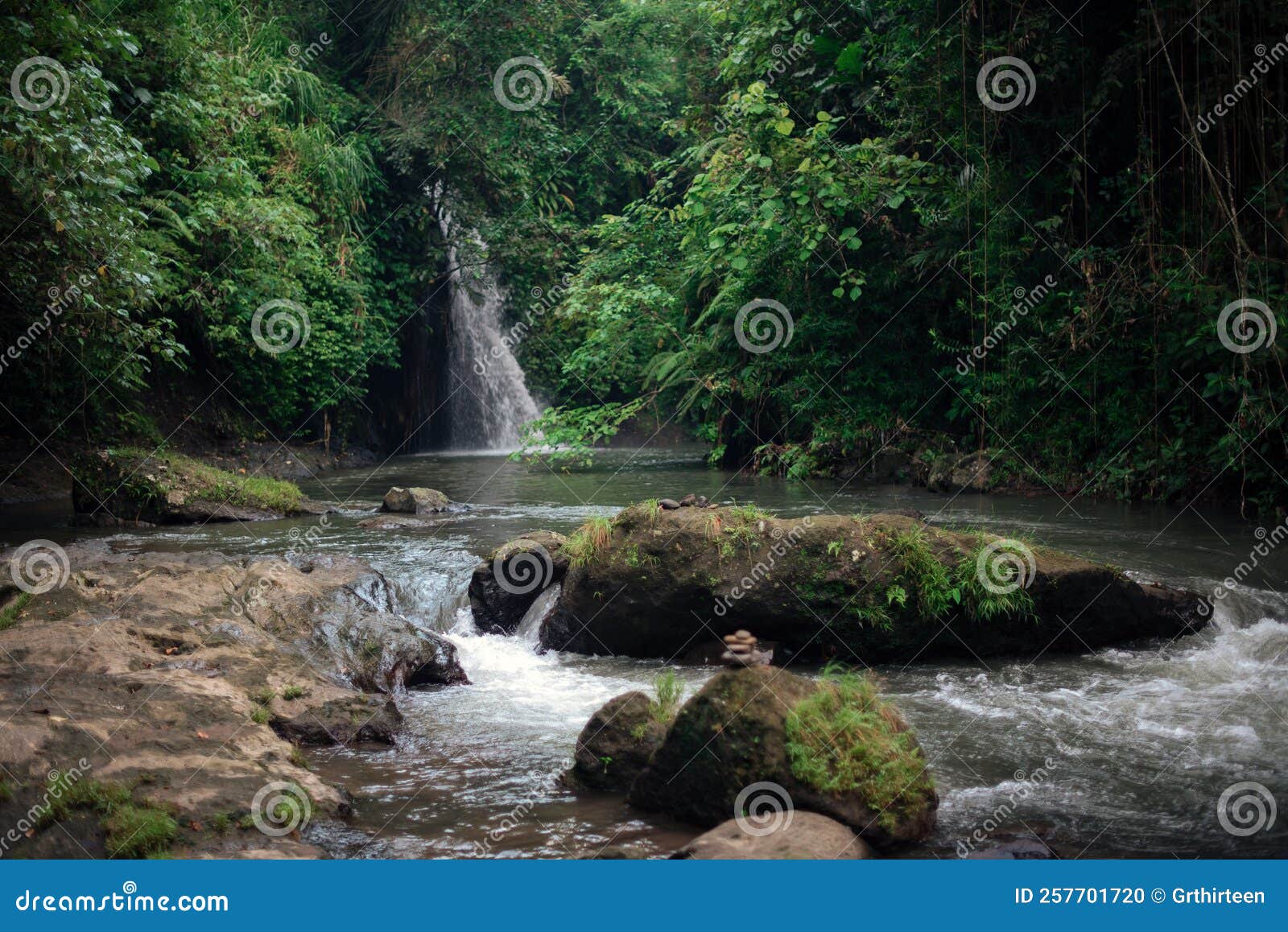 Jungle River and Waterfall on Background. Bali, Ubud. Stock Photo ...