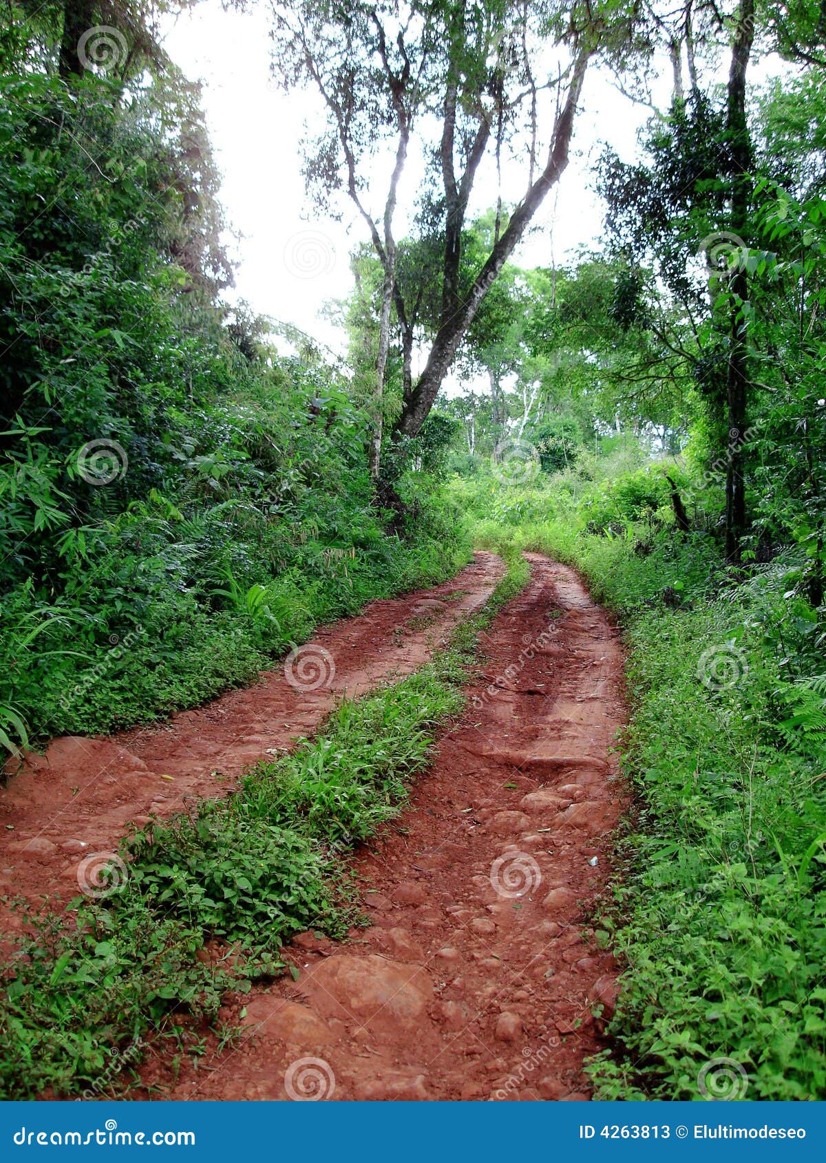 Tortuous Pathway Stock Photography | CartoonDealer.com #4066244