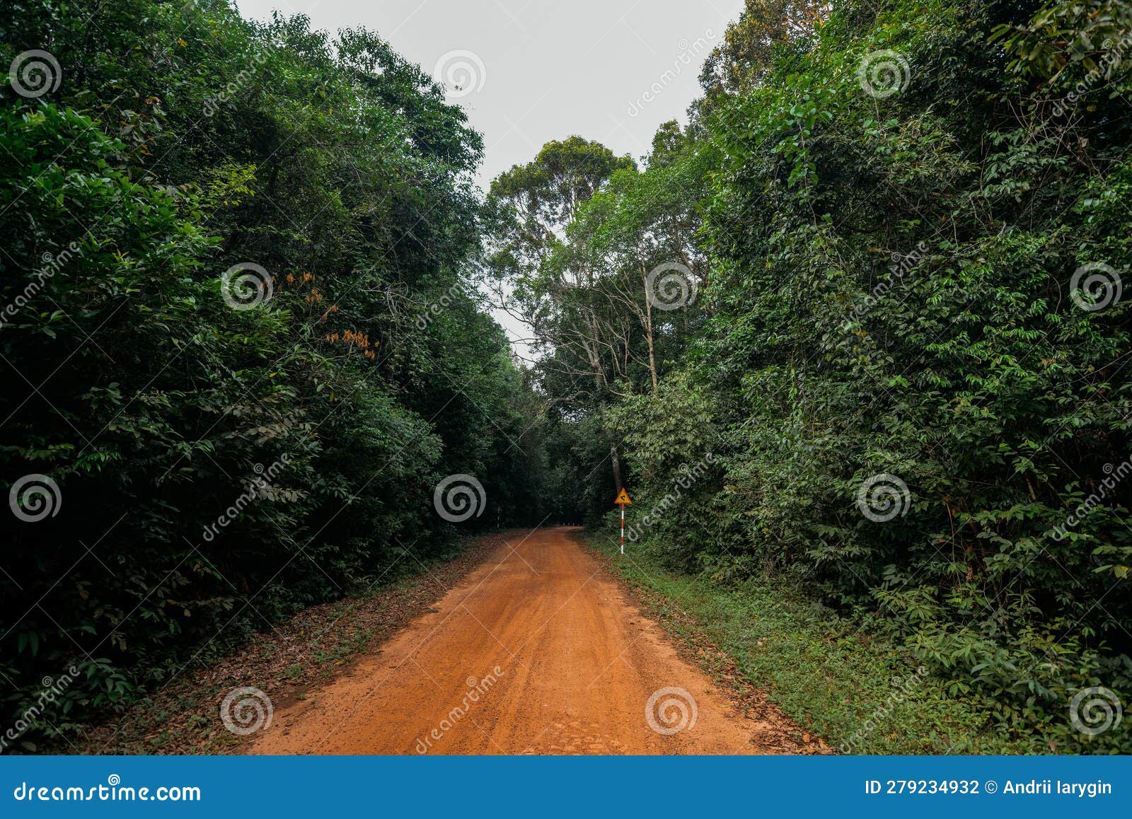 Jungle Road in Nature Reserve Stock Photo - Image of path, clay: 279234932