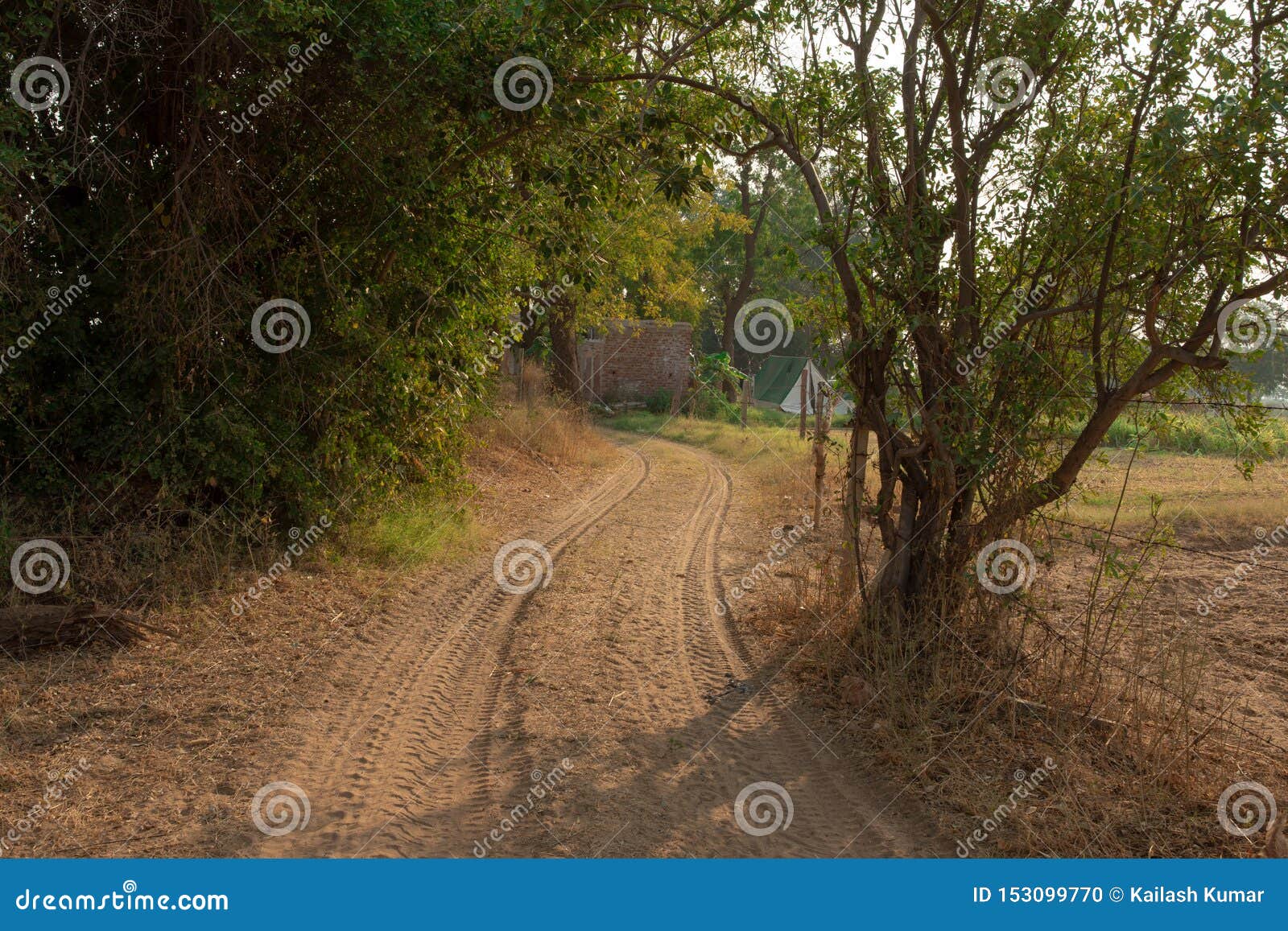 Jungle Road stock photo. Image of cloud, field, landscape - 153099770