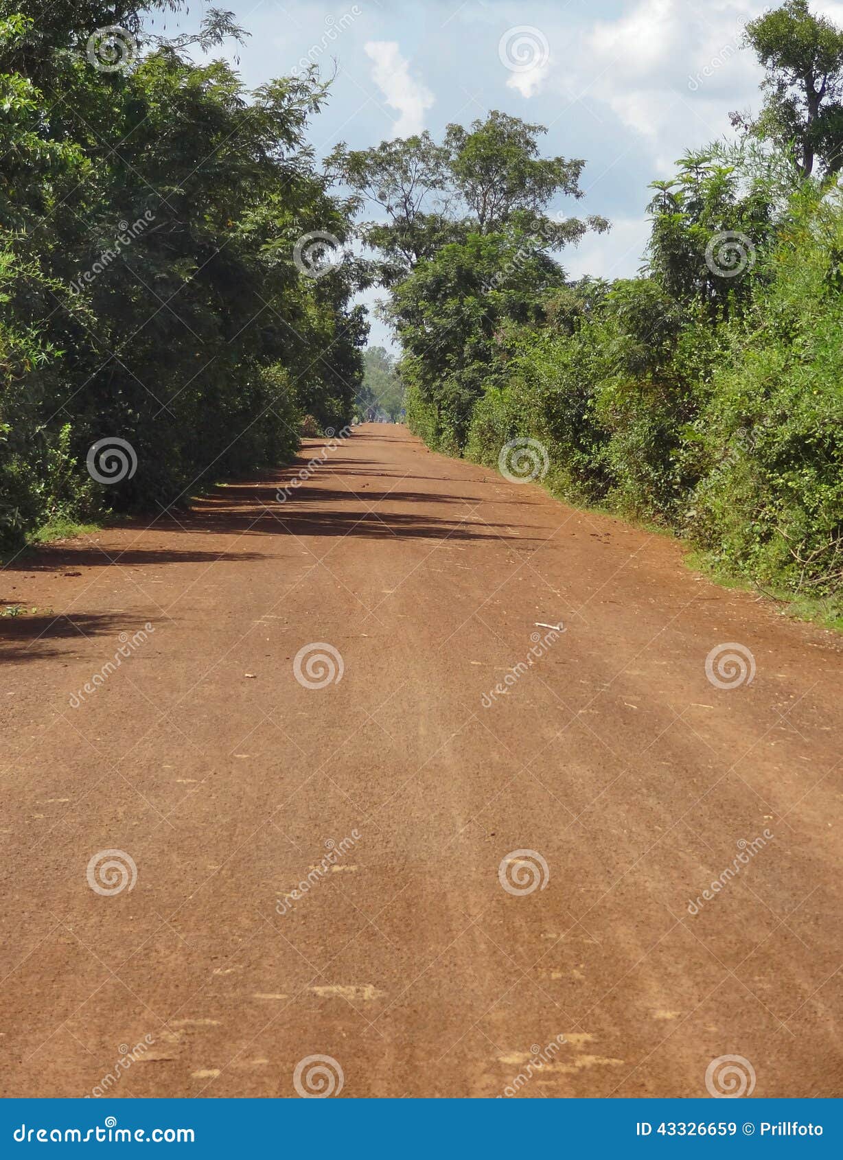 Jungle road stock image. Image of timber, crop, asia - 43326659