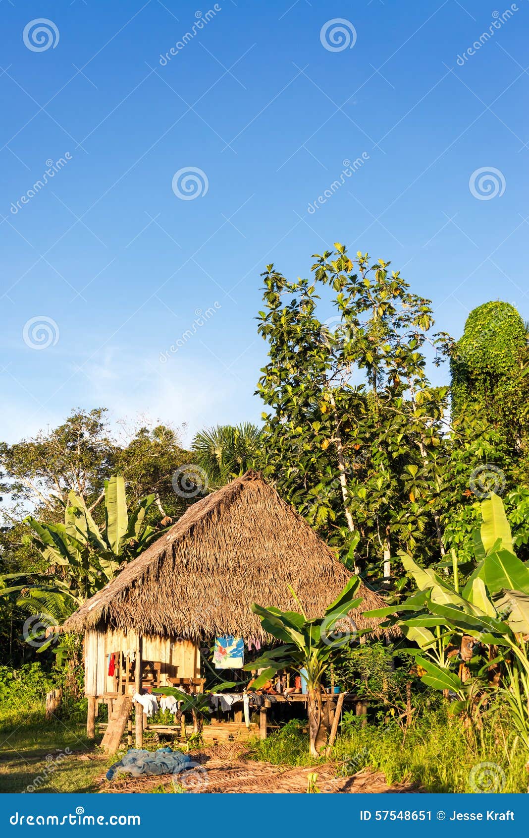 Jungle Shack Vertical View stock image. Image of vacation - 57548651