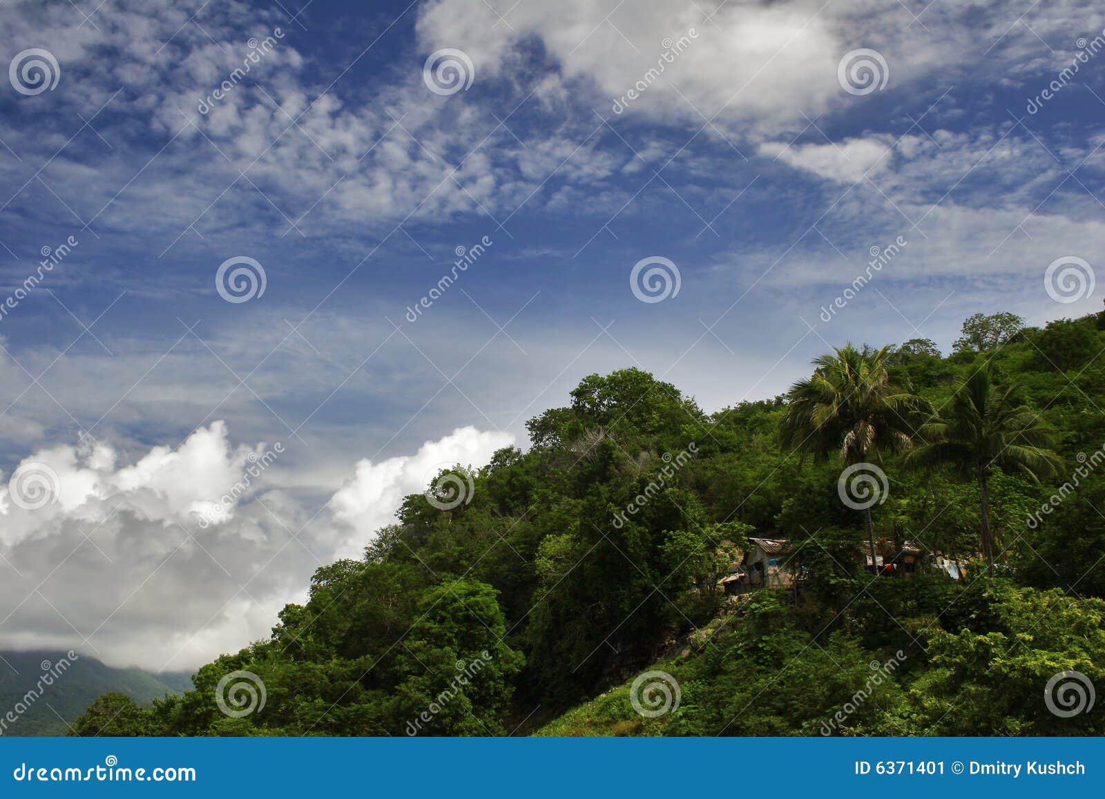 Jungle and sky of Cuba stock image. Image of island, abstract - 6371401