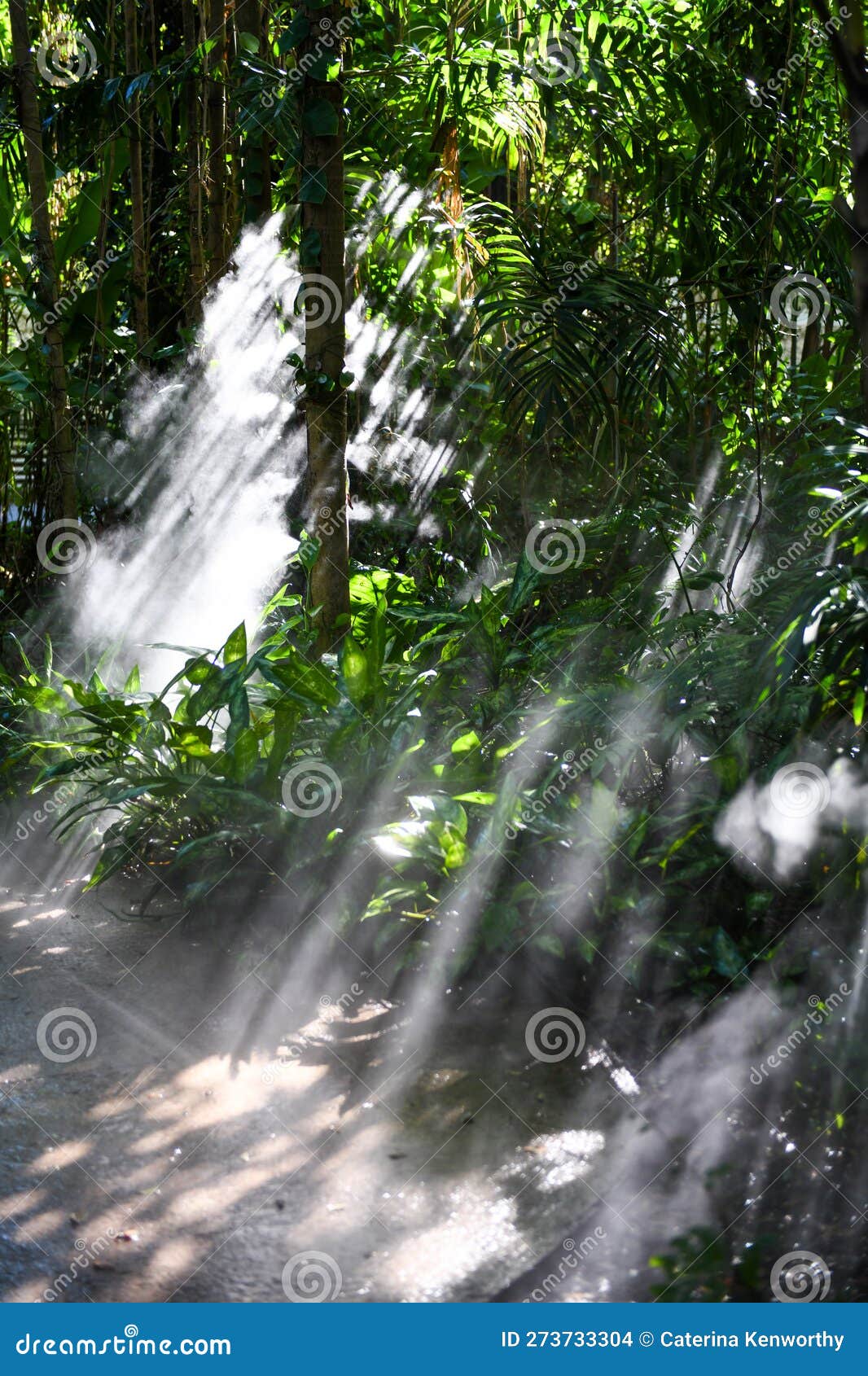 Jungle with Steam Streaming through Trees Stock Photo - Image of ...