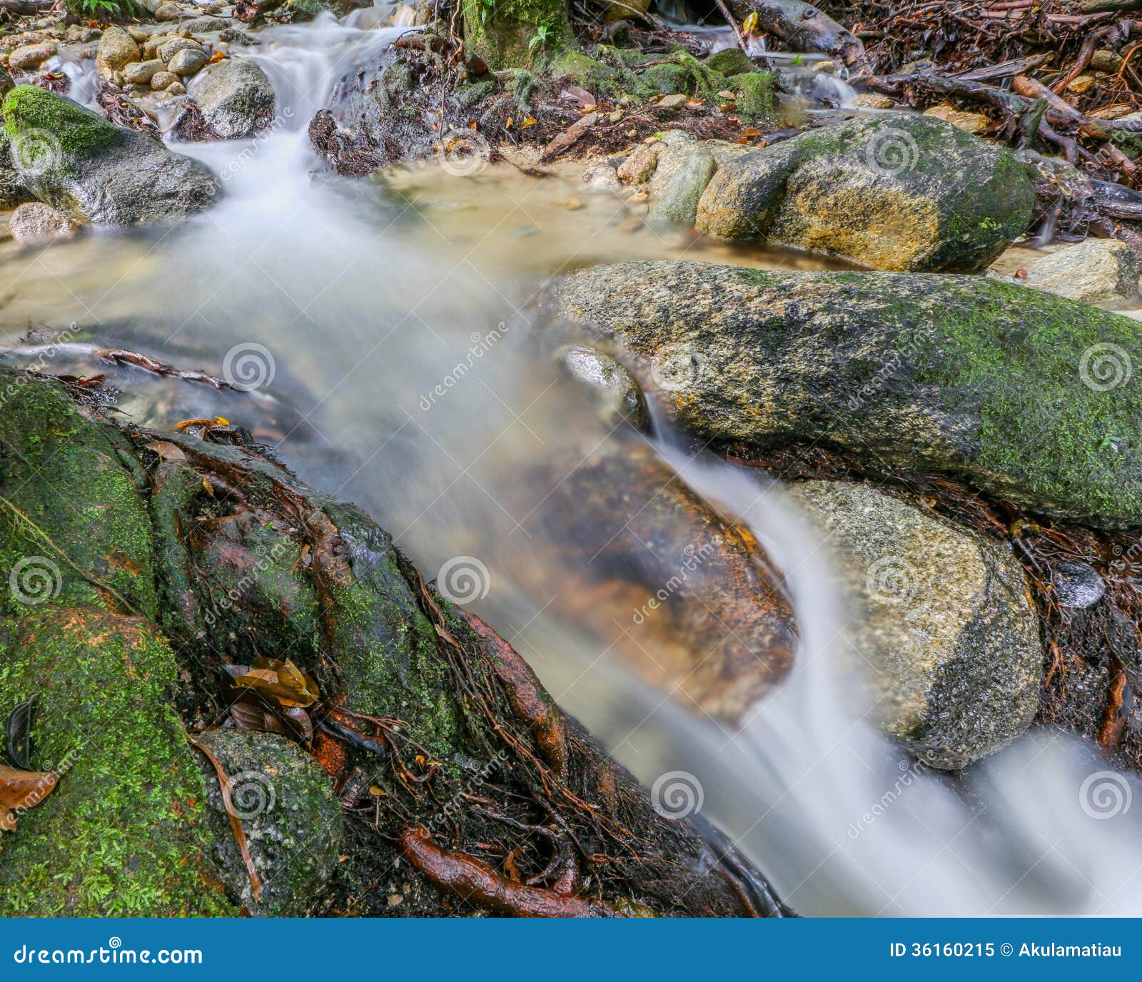Jungle Stream IX stock image. Image of rock, foliage - 36160215