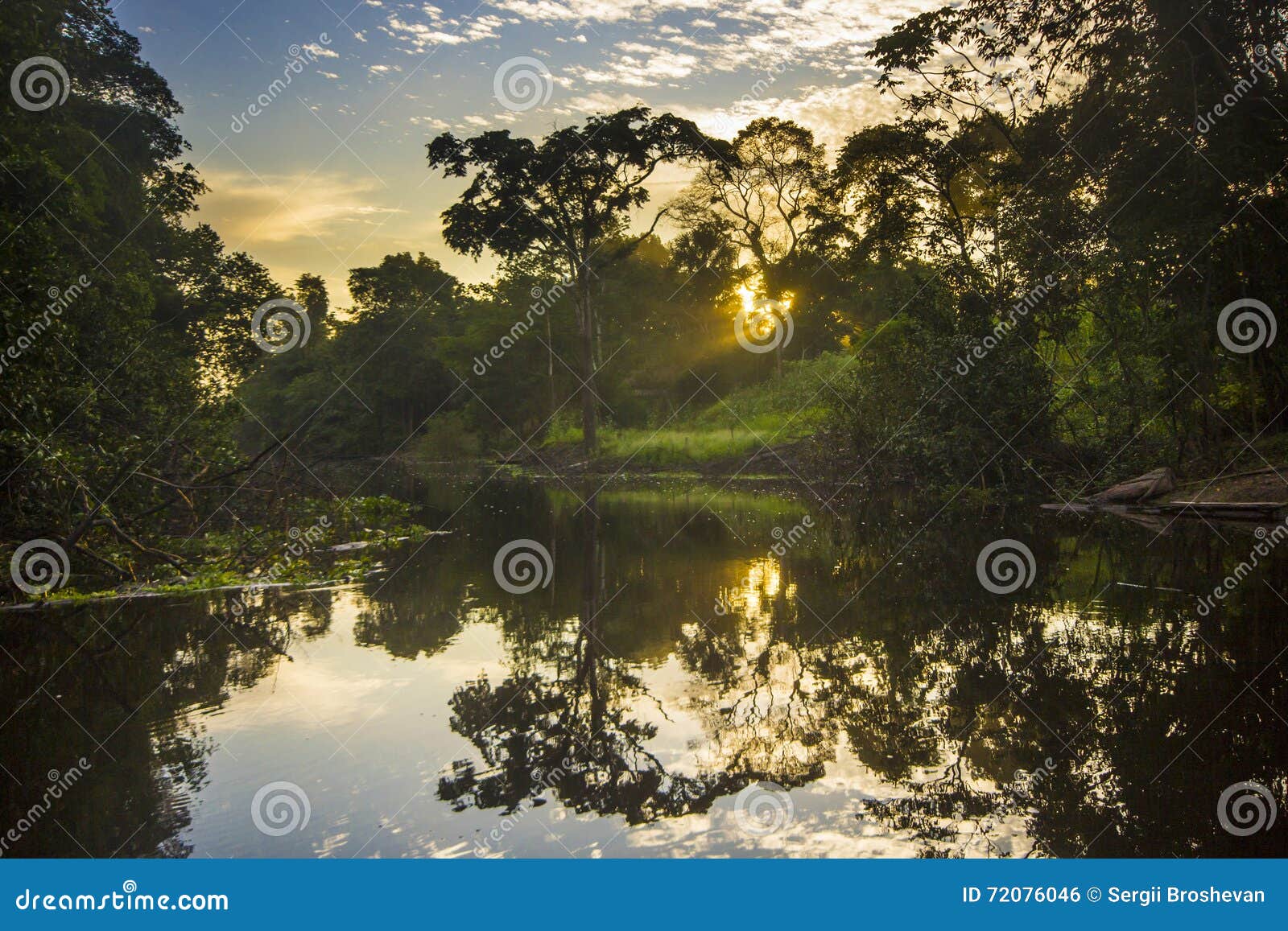 Jungle Sunrise on Amazon River with Reflection in Water Stock Photo ...