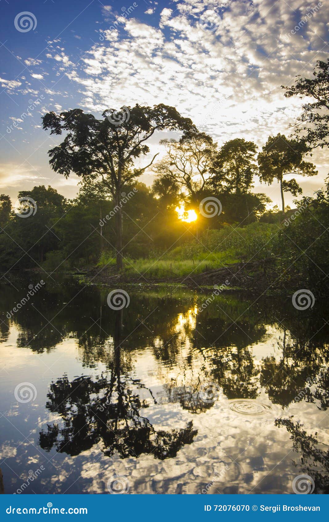 Jungle Sunrise on Amazon River with Reflection in Water Stock Photo ...