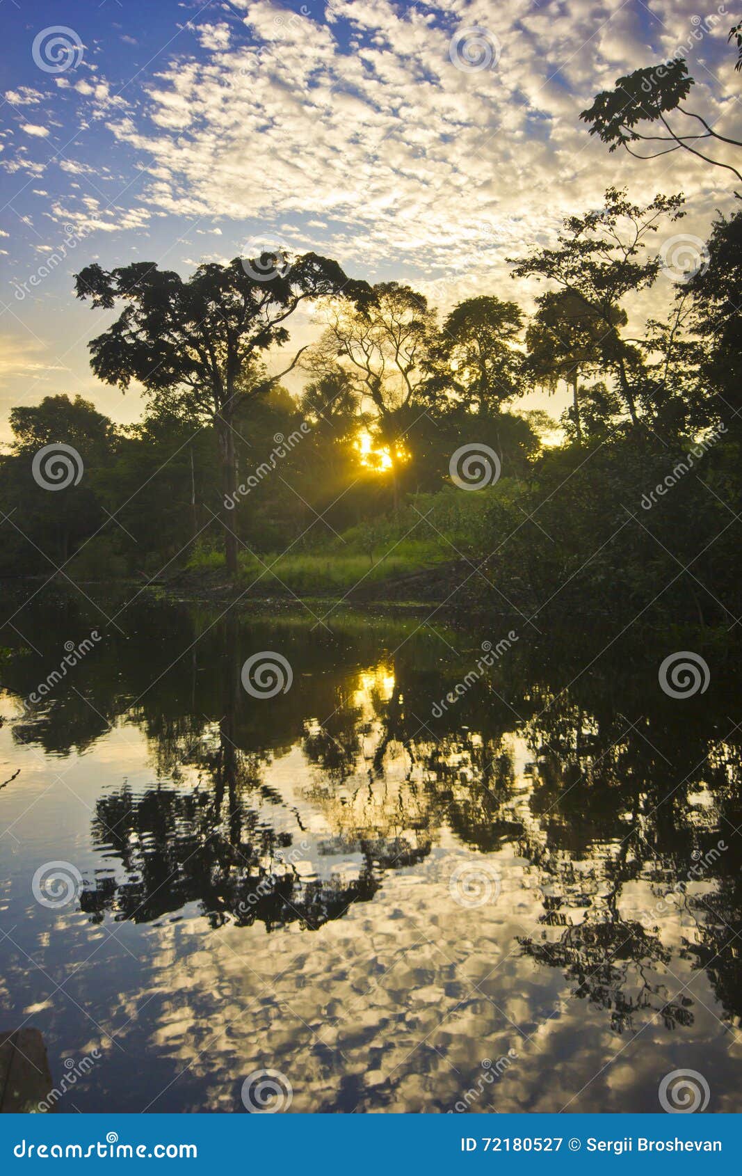 Jungle Sunrise on Amazon River with Reflection in Water Stock Image ...