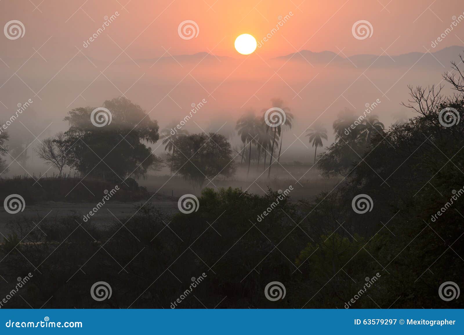 Jungle Sunrise stock image. Image of peaceful, park, natural - 63579297