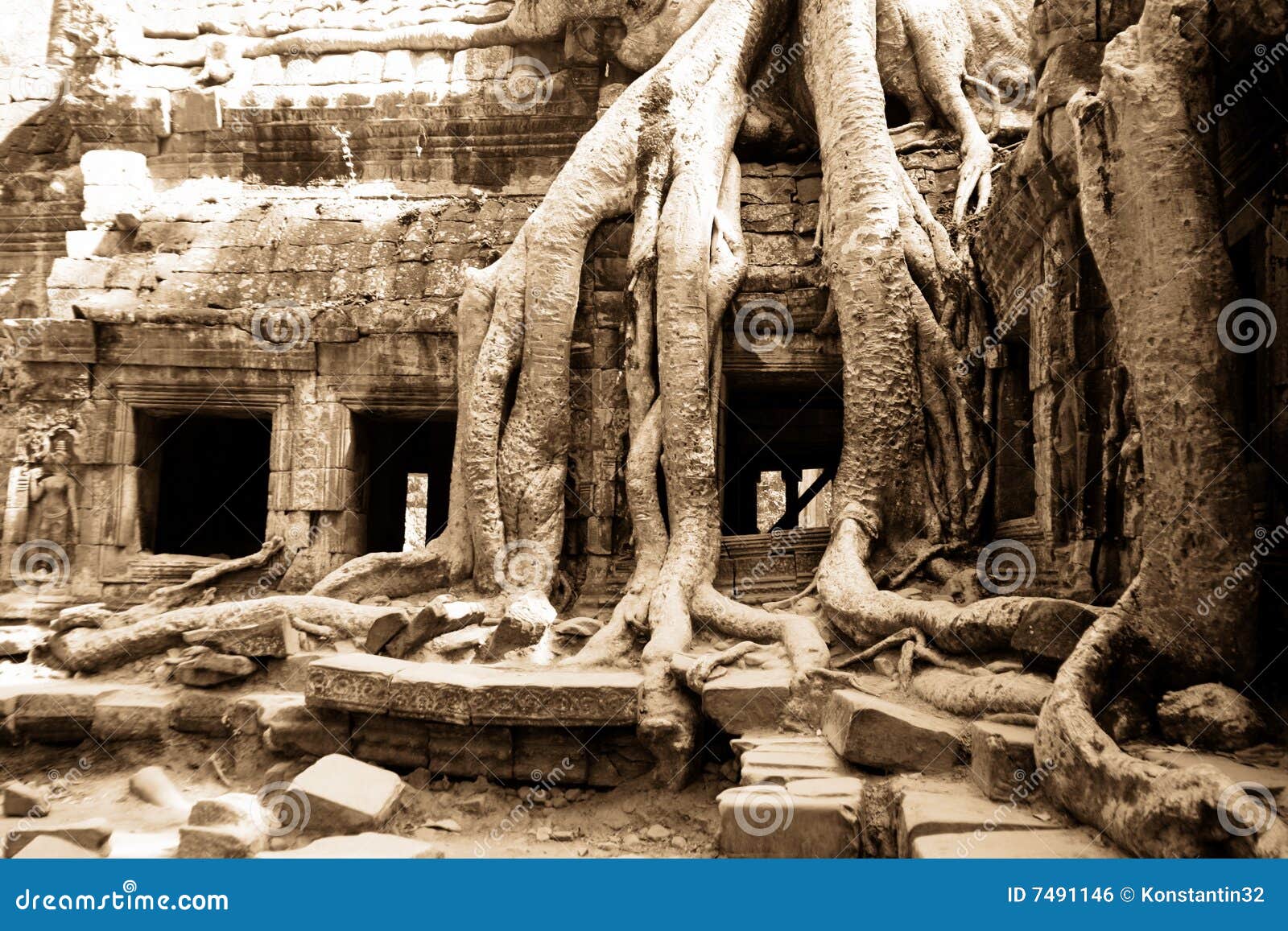 The Jungle that Surround of Angkor Wat Stock Photo - Image of ...