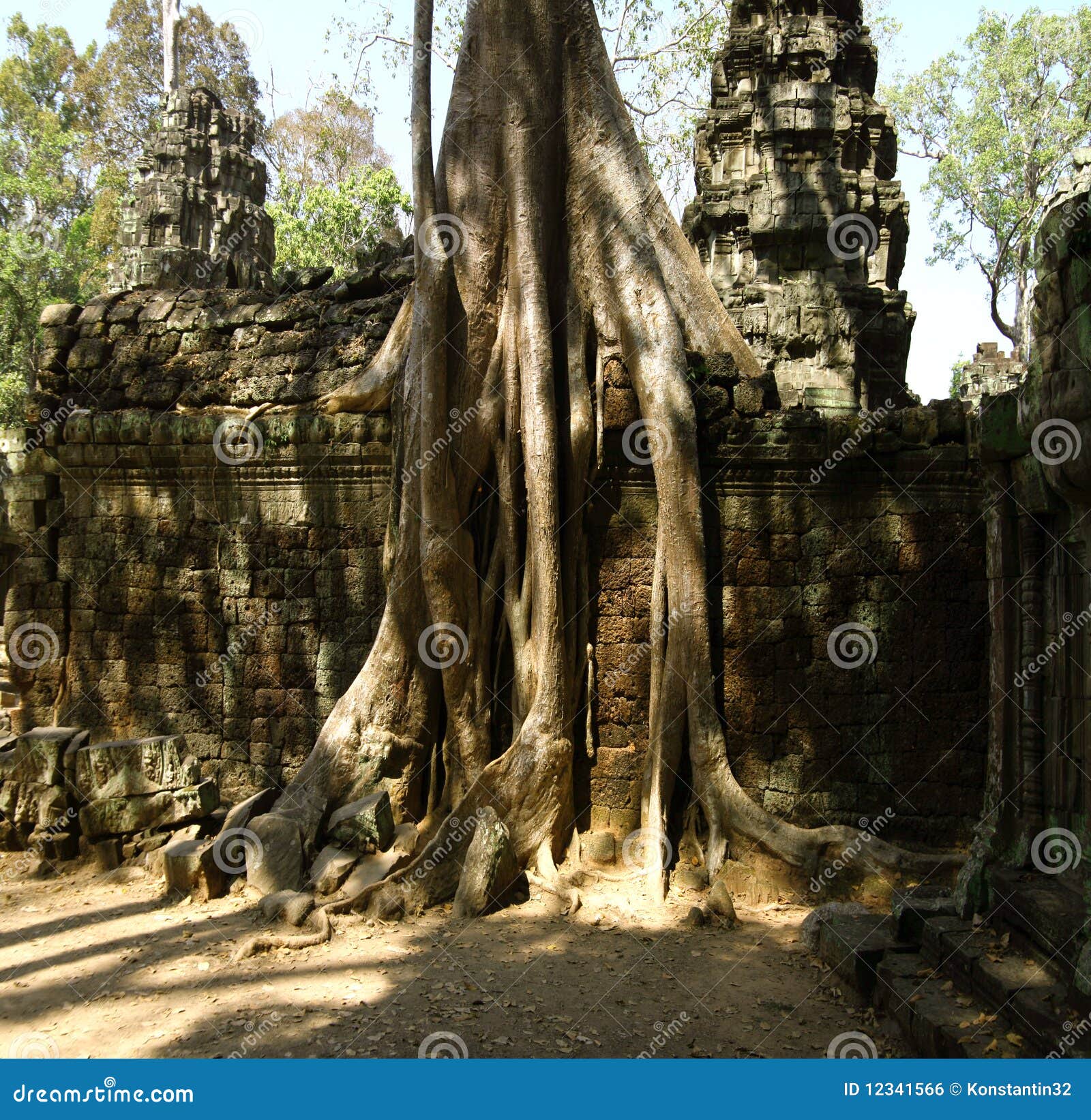 Jungle Surround Temple of Angkor Wat Stock Photo - Image of jungle ...