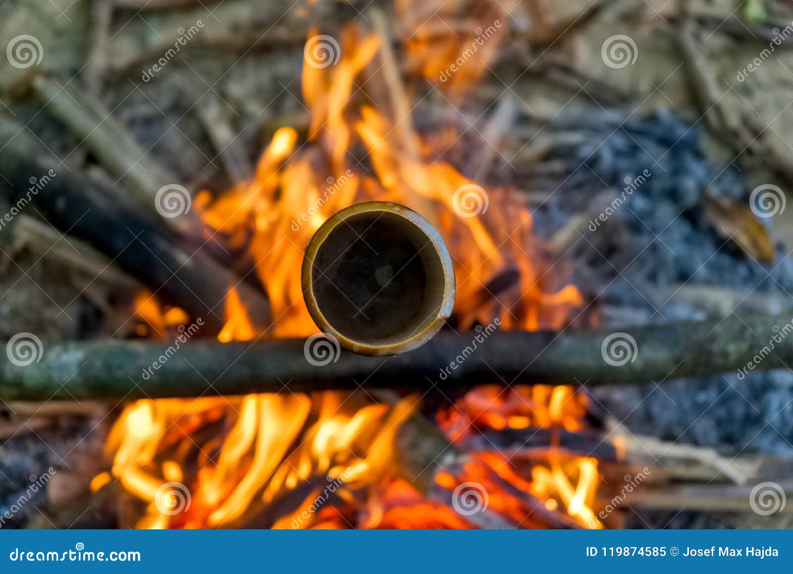 Jungle Tea stock image. Image of tourism, barren, beauty - 119874585