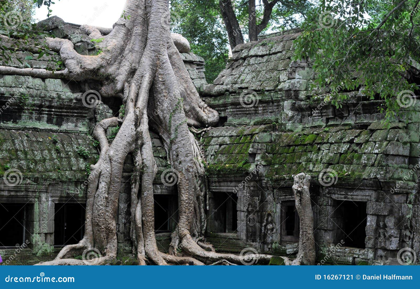 Jungle Temple - Aangkor Wat Royalty-Free Stock Photography ...