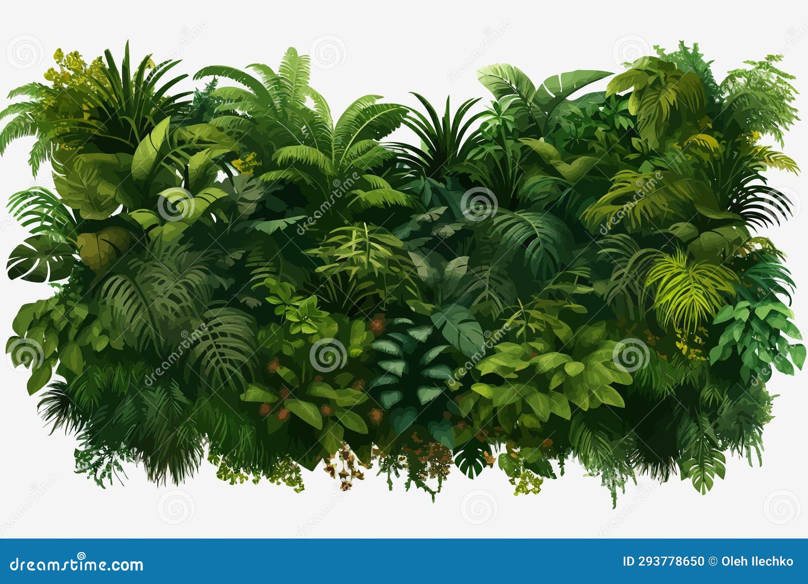 Jungle Top View Air Photo Vector Flat Isolated Illustration Stock ...