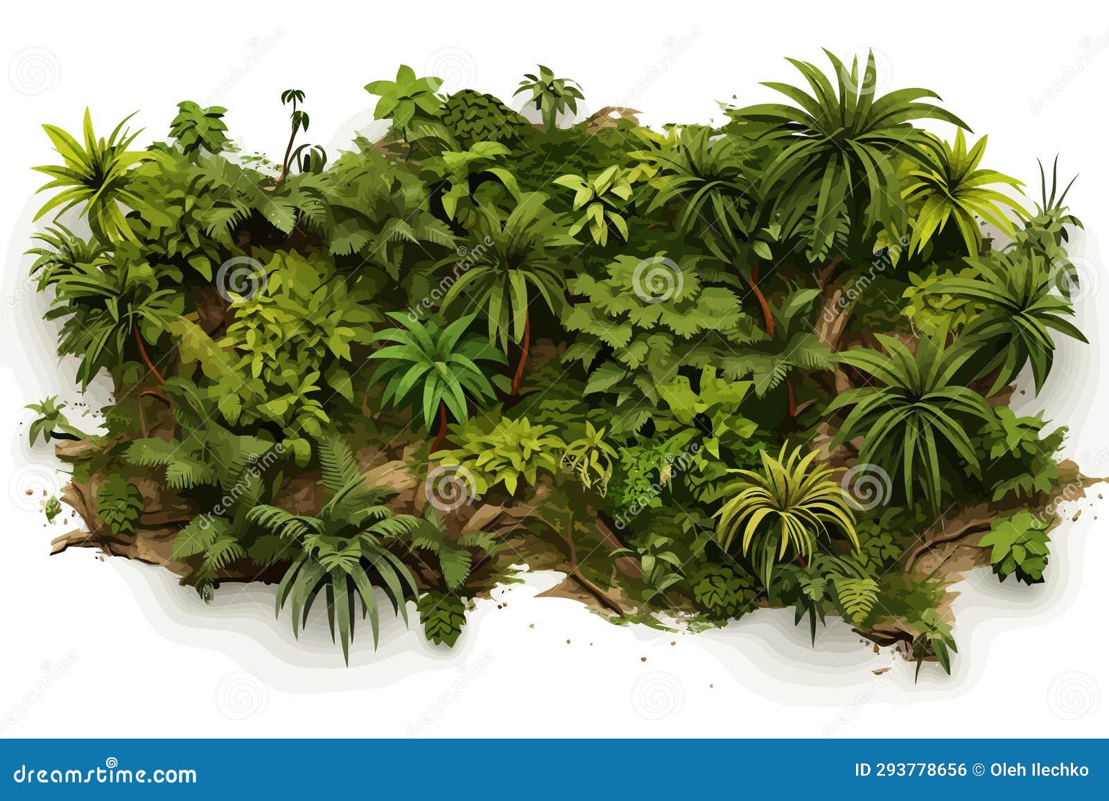 Jungle Top View Air Photo Vector Flat Isolated Illustration Stock ...