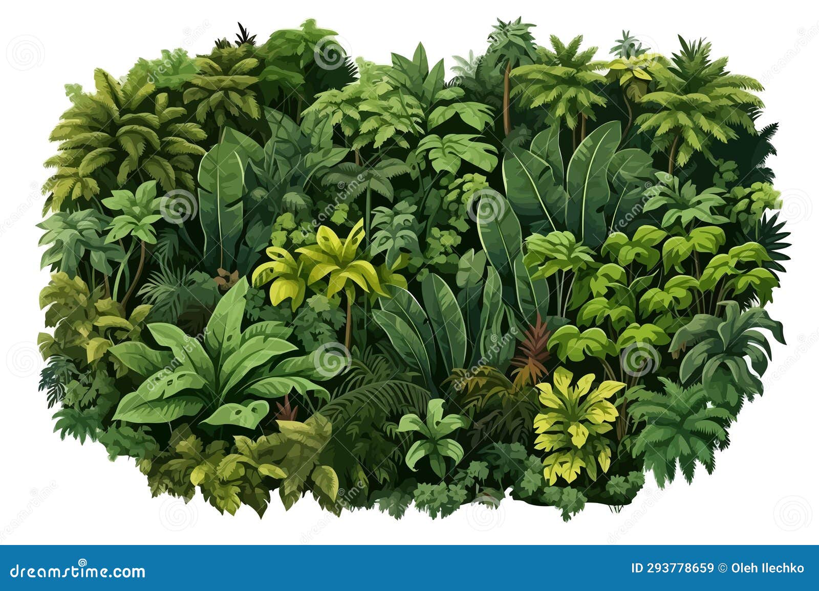 Jungle Top View Drone Shot Vector Flat Isolated Illustration ...