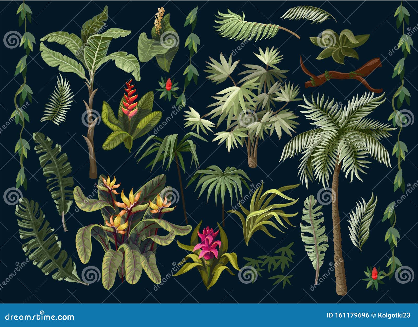 Jungle Trees and Flowers Isolated. Vector. Stock Vector - Illustration ...