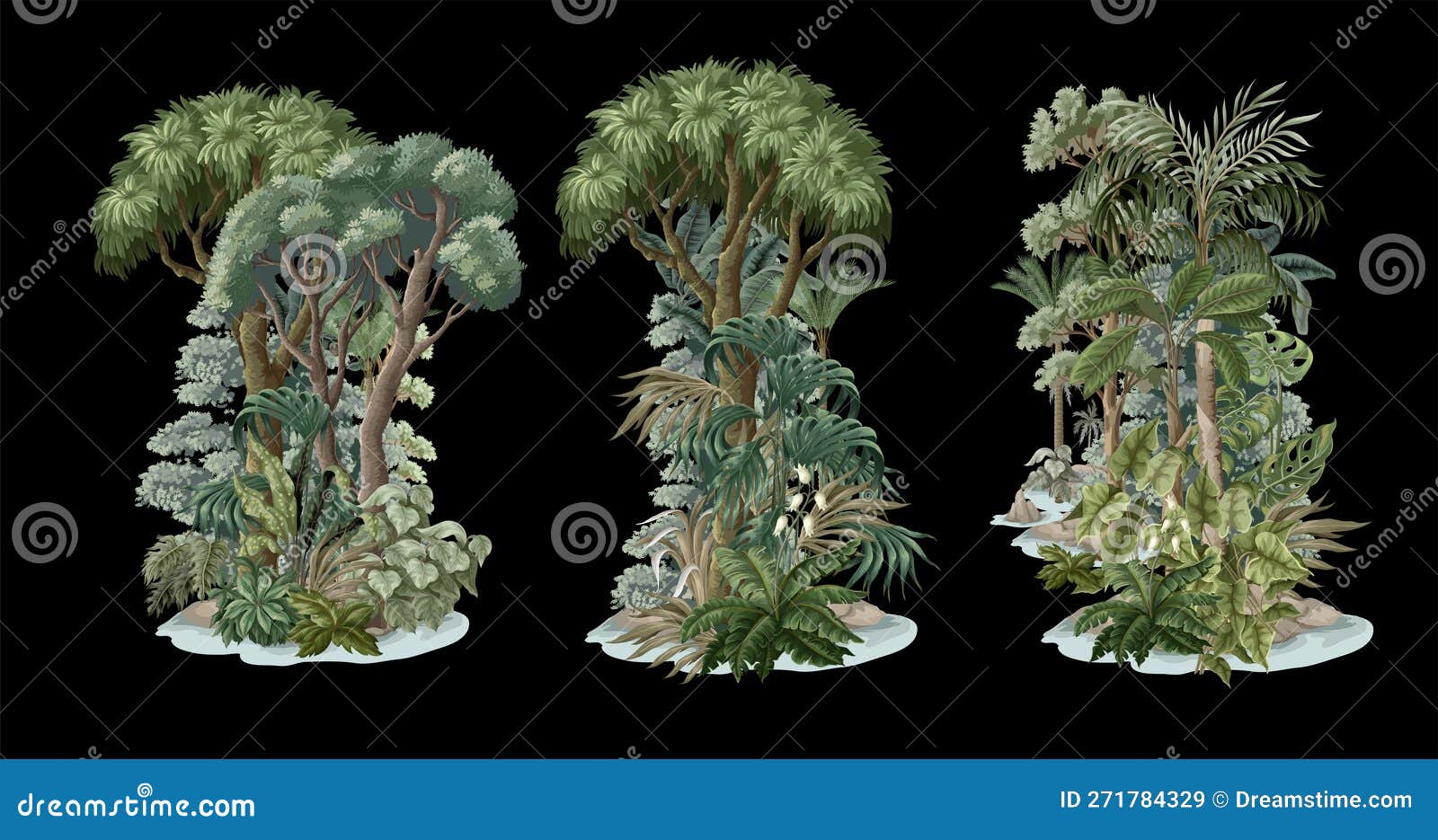 Jungle Trees and Plants Isolated. Vector. Stock Vector - Illustration ...