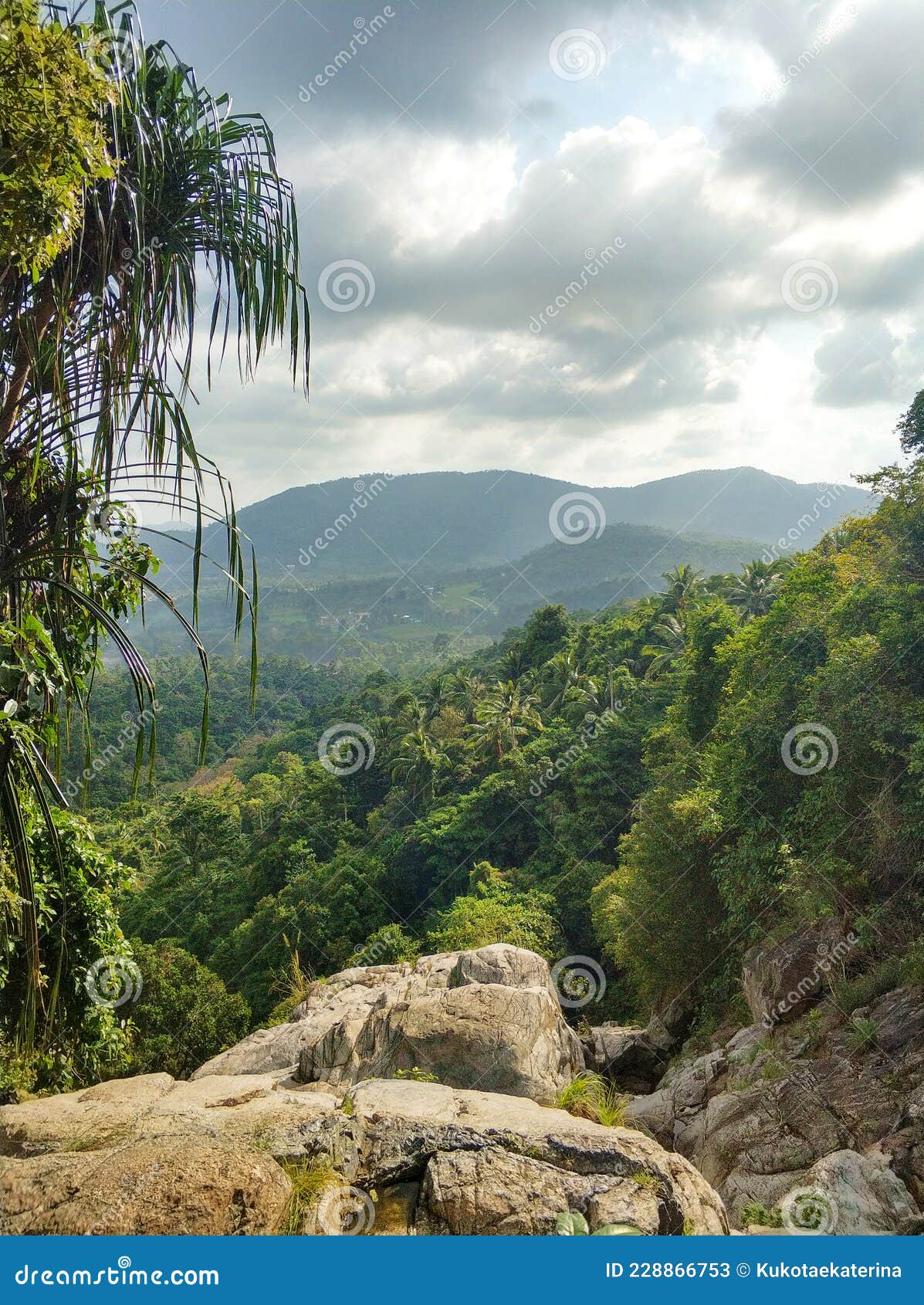 Jungle Valley Landscape View from the Cliff Stock Image - Image of ...
