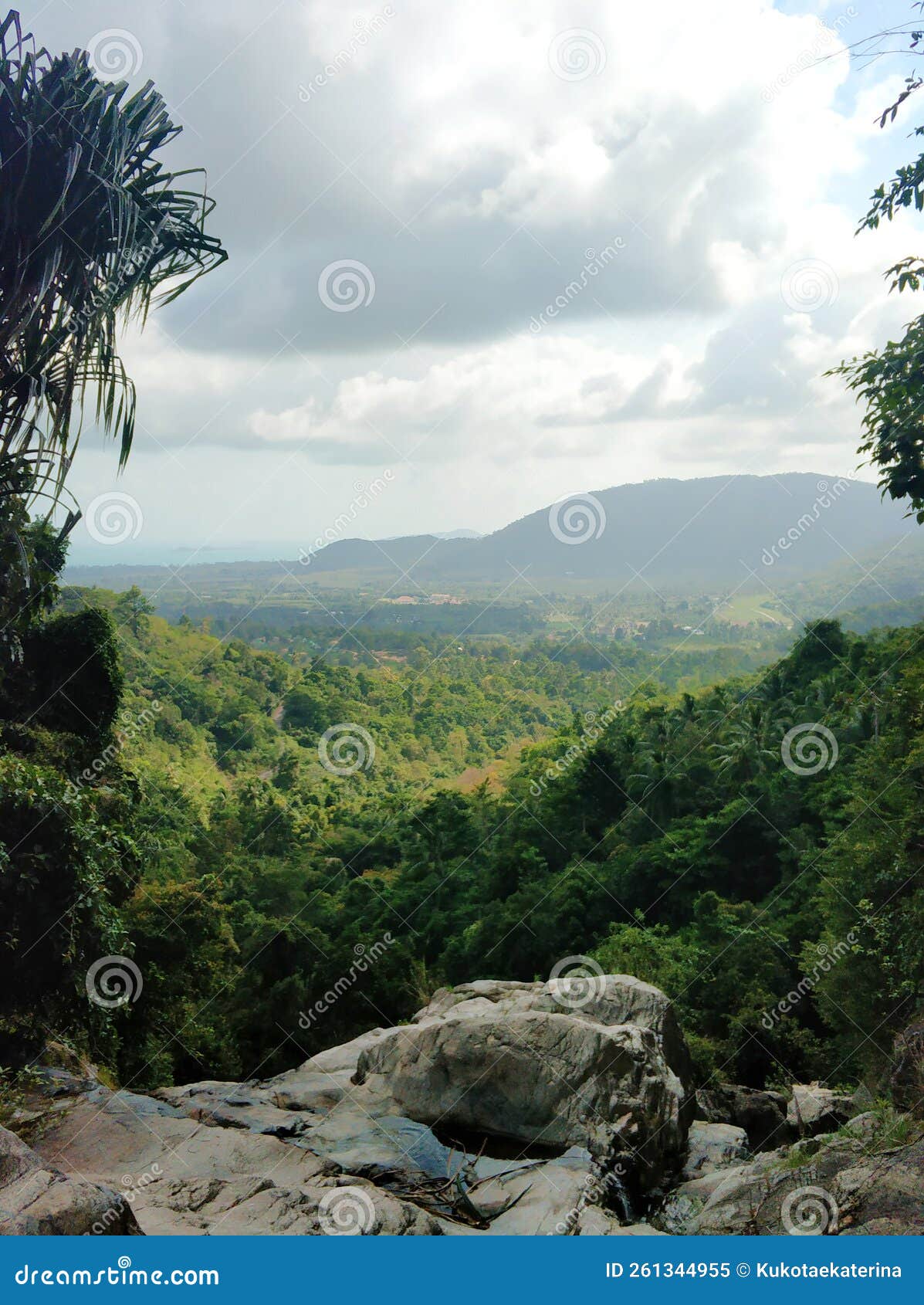 Jungle Valley Landscape View from the Cliff Stock Image - Image of asia ...