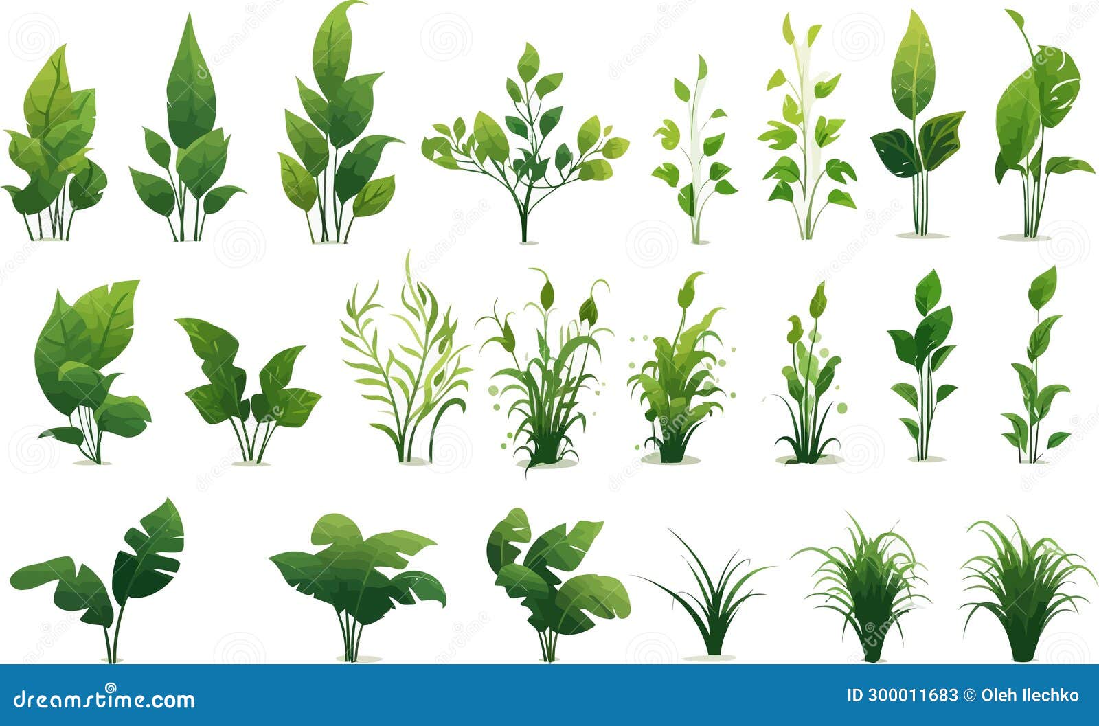 Jungle Vegetation Set Isolated Vector Style Illustration Stock Vector ...