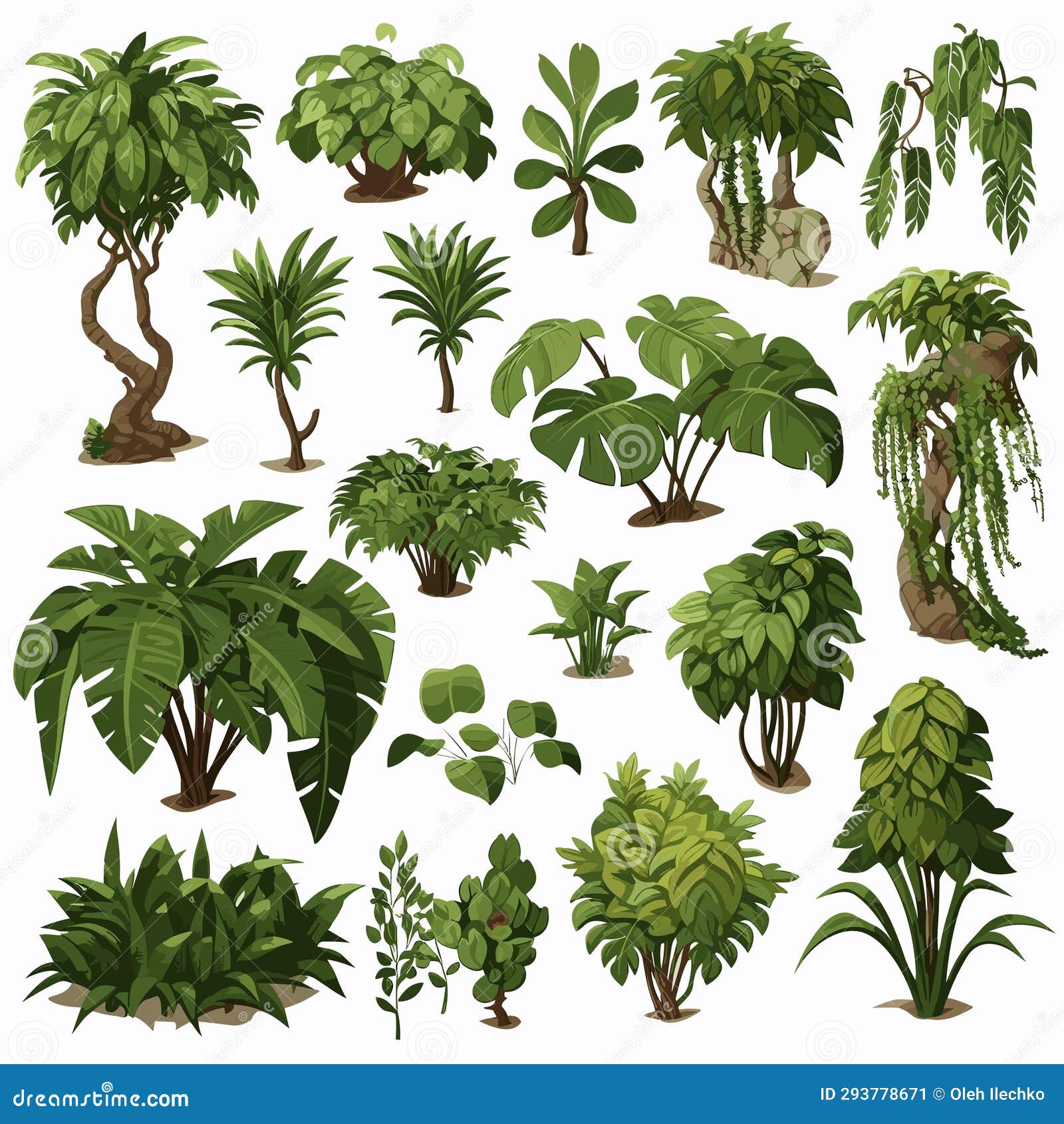 Jungle Vegetation Set Isometric Vector Flat Isolated Illustration Stock ...