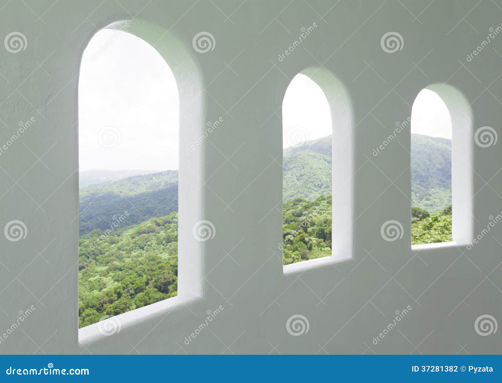 Jungle view stock photo. Image of puerto, national, flora - 37281382