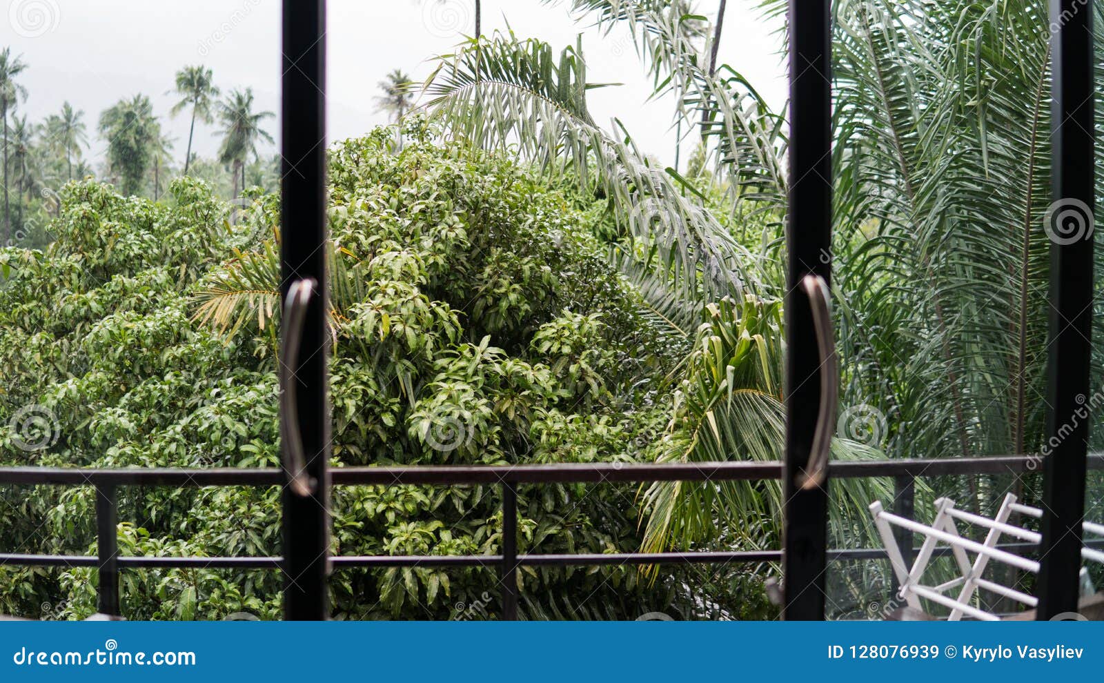 Jungle View from the Window. Stock Image - Image of beautiful, plant ...