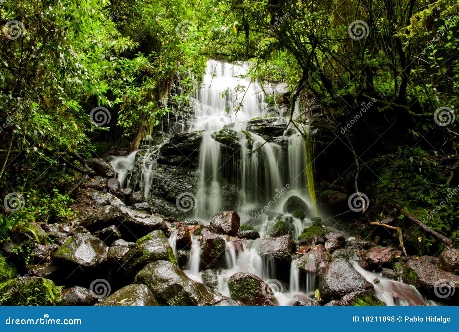 Jungle Waterfall stock photo. Image of flowing, gorgeous - 18211898