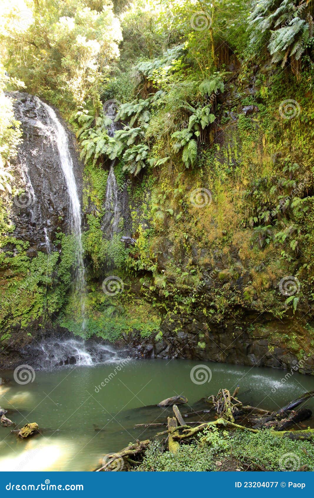 Jungle Waterfall in Northern Madagascar Stock Image - Image of bush ...