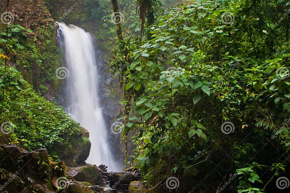 Jungle waterfall stock photo. Image of cascade, drop - 23759664