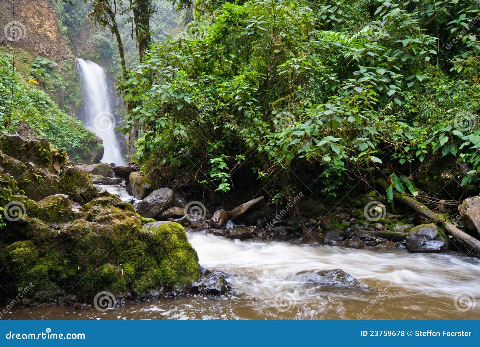 Jungle waterfall stock photo. Image of water, verdant - 23759678