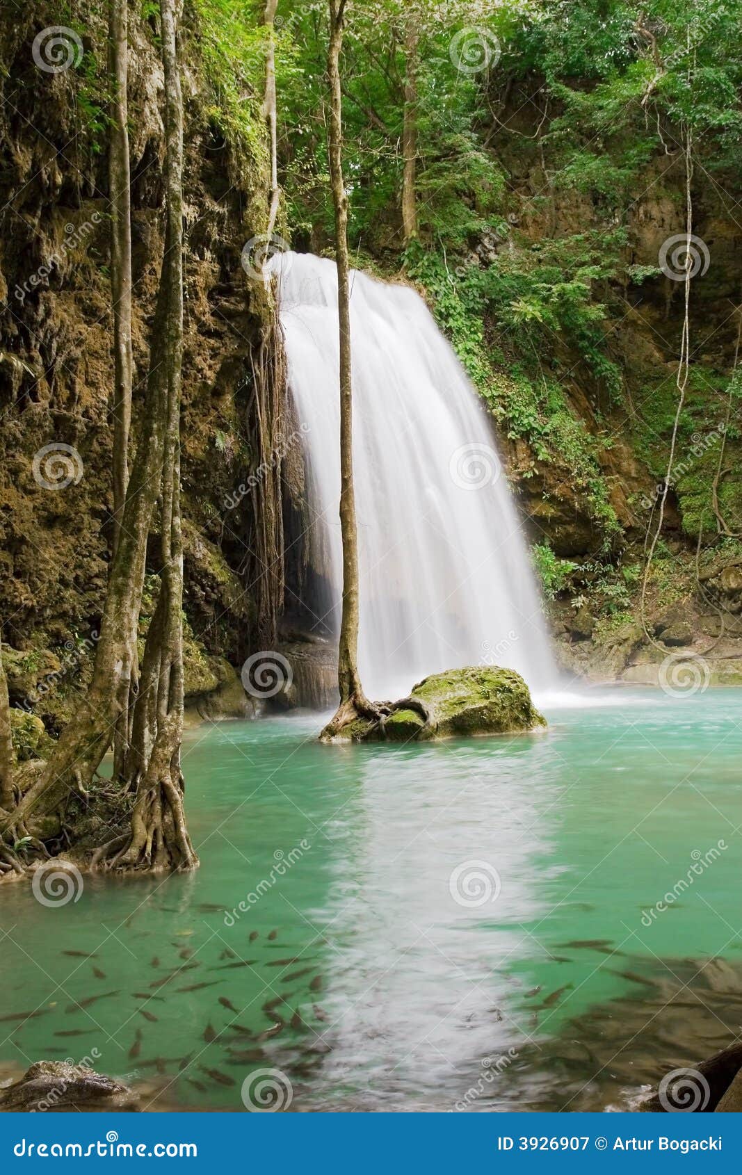 Jungle Waterfall stock image. Image of majestic, waterfall - 3926907
