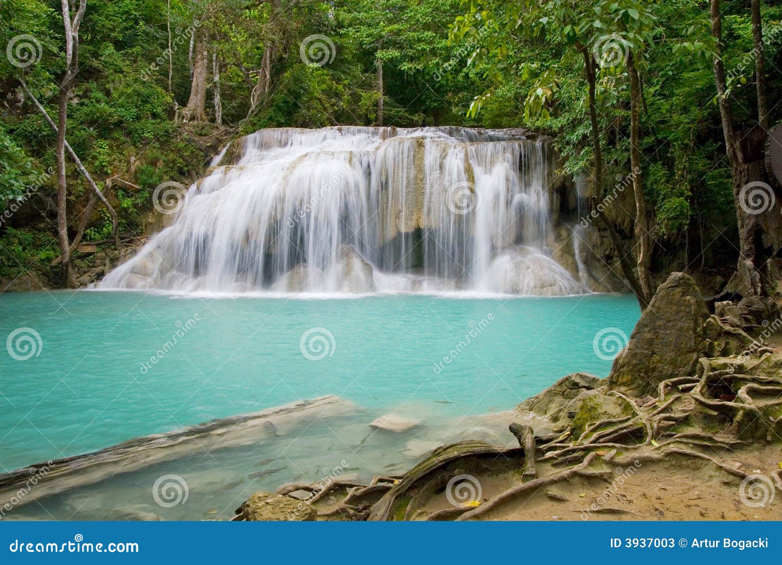 Jungle Waterfall stock image. Image of flowing, smooth - 3937003