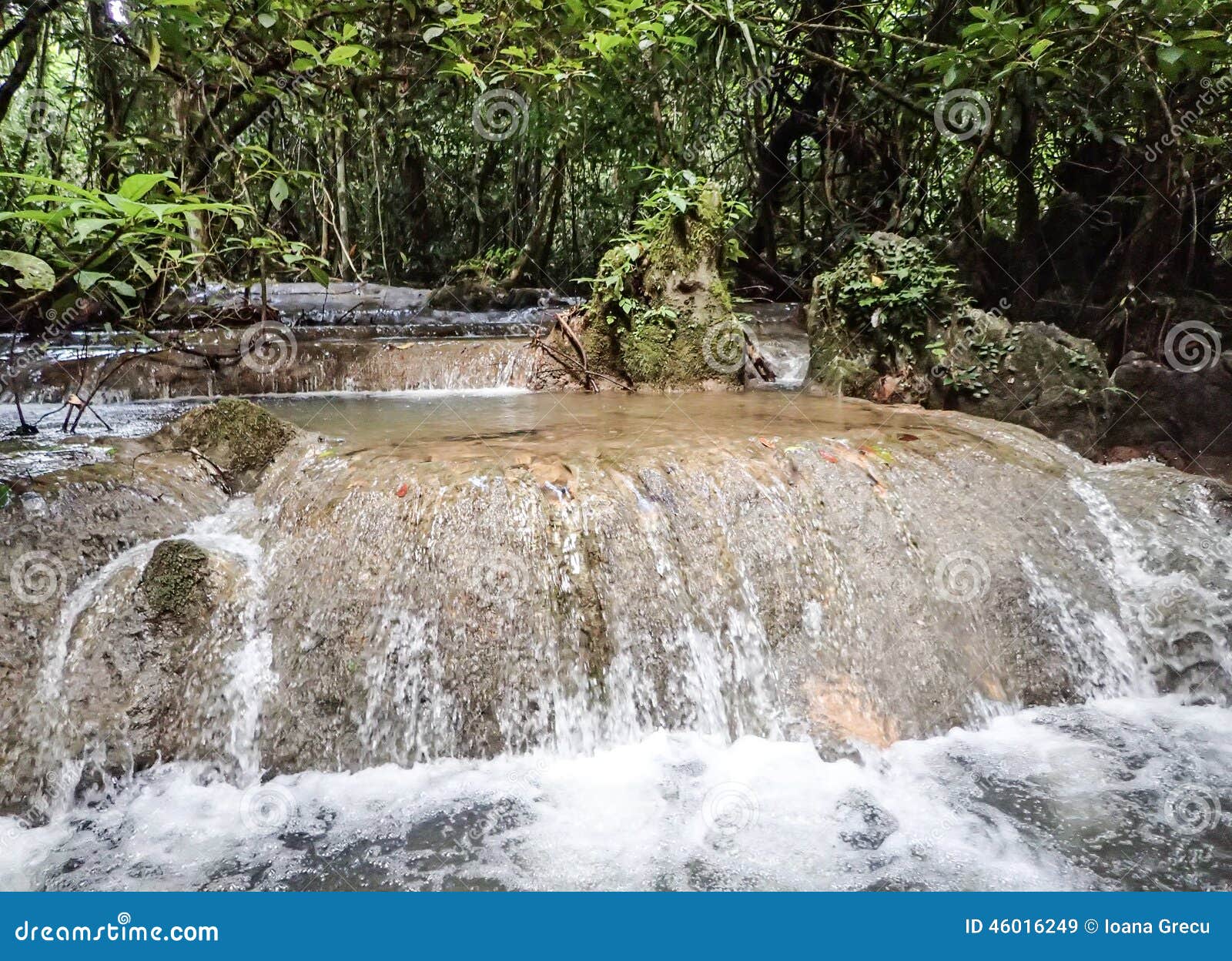 Jungle Waterfall Royalty-Free Stock Photography | CartoonDealer.com ...