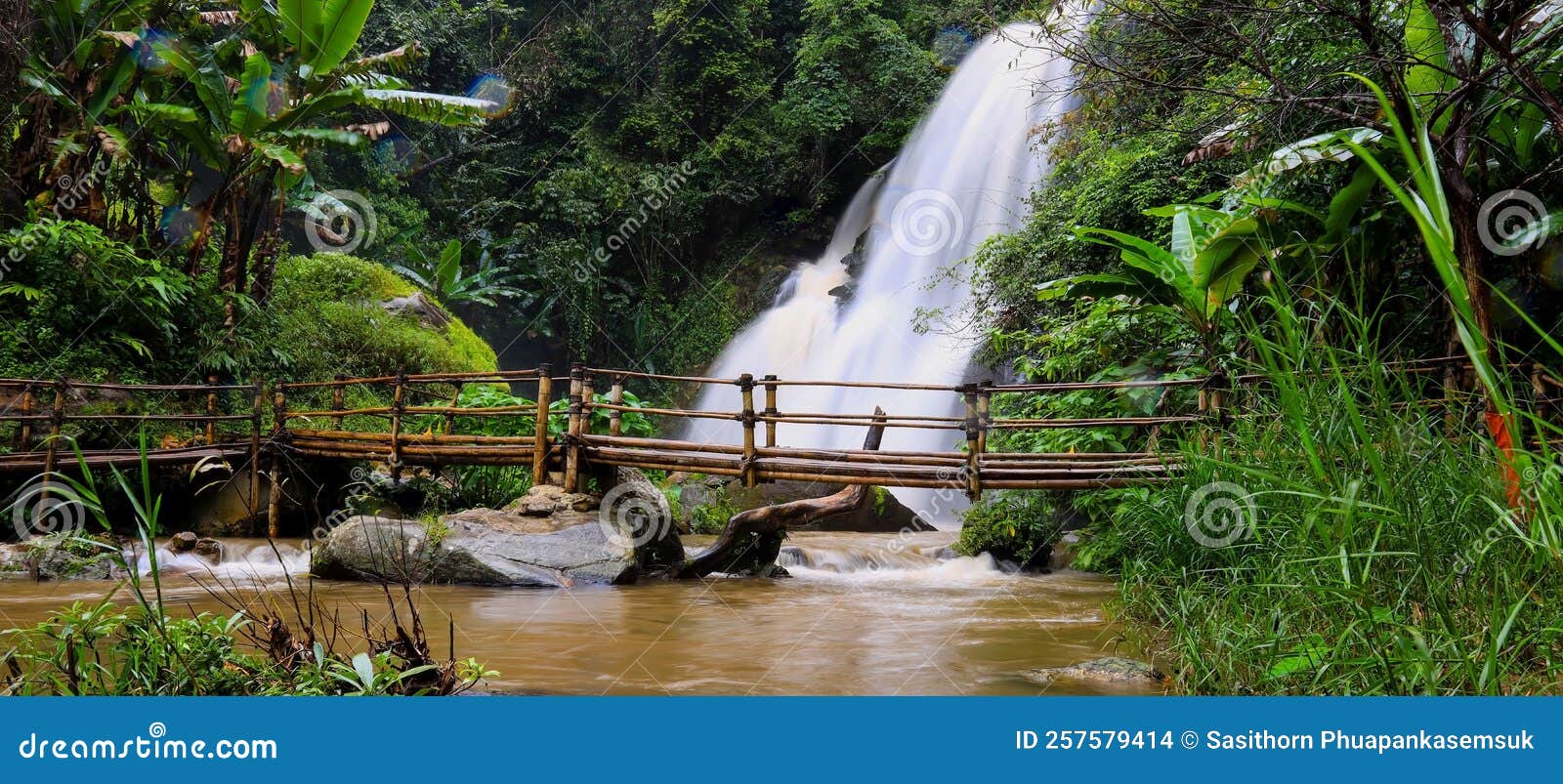 The Jungle with a Waterfall-River-rocks-covered-with Rainy Forest ...