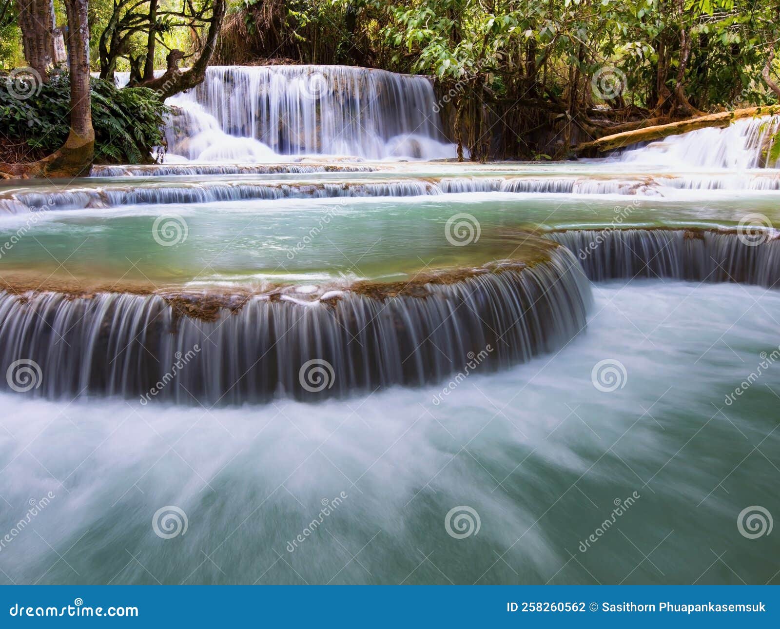 The Jungle with a Waterfall-River-rocks-covered-with Rainy Forest ...