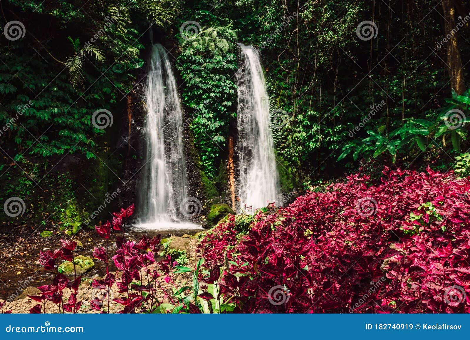 Jungle Waterfalls Cascade in Tropical Rainforest with Pink Plants Stock ...