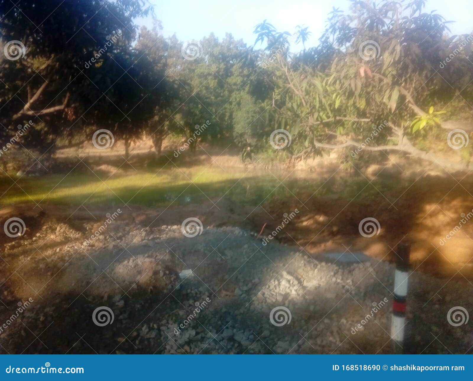 Junglee Outside Field in India Simdega District Jharkhand Stock Photo ...