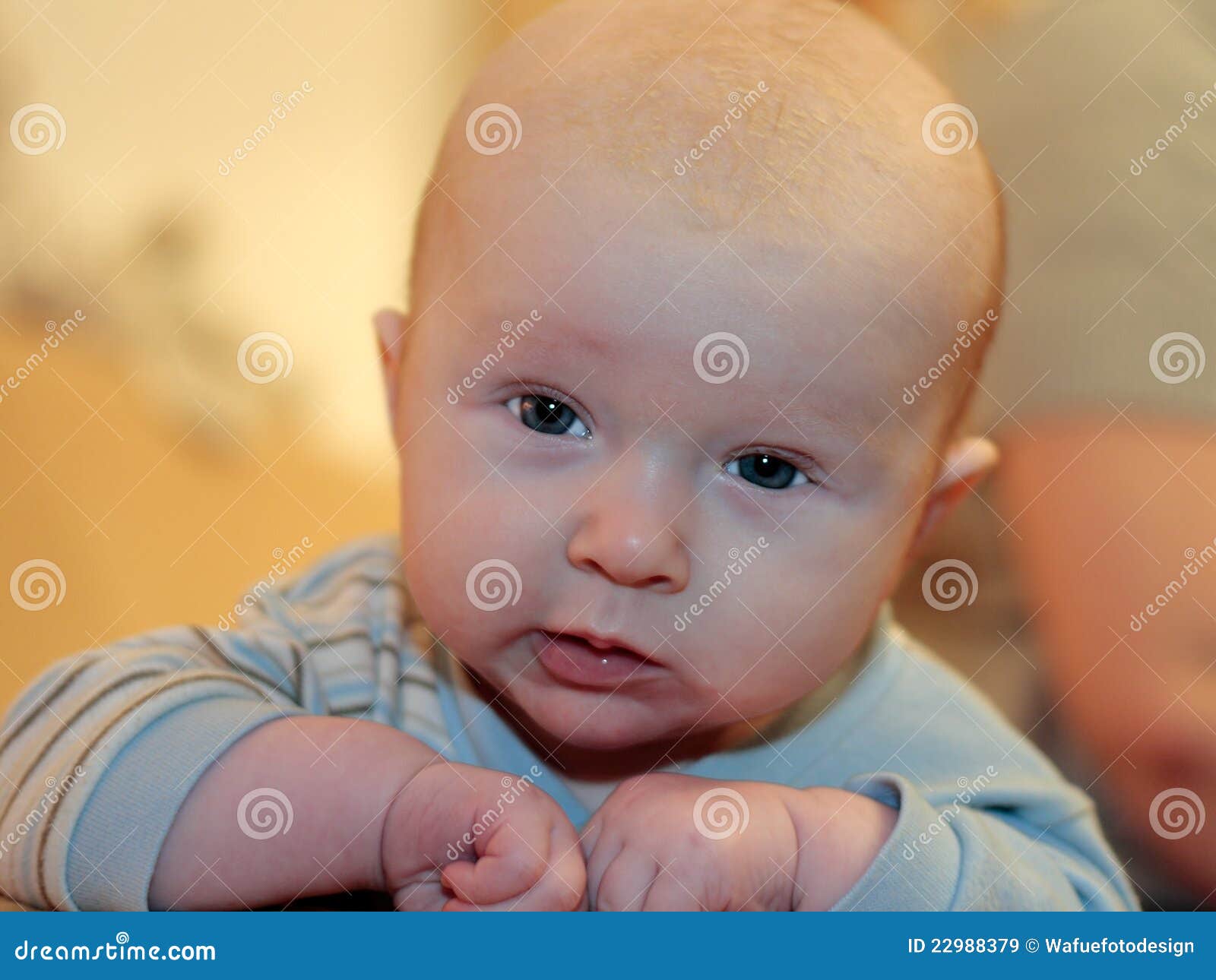 Junior stock image. Image of view, junior, portrait, cute - 22988379