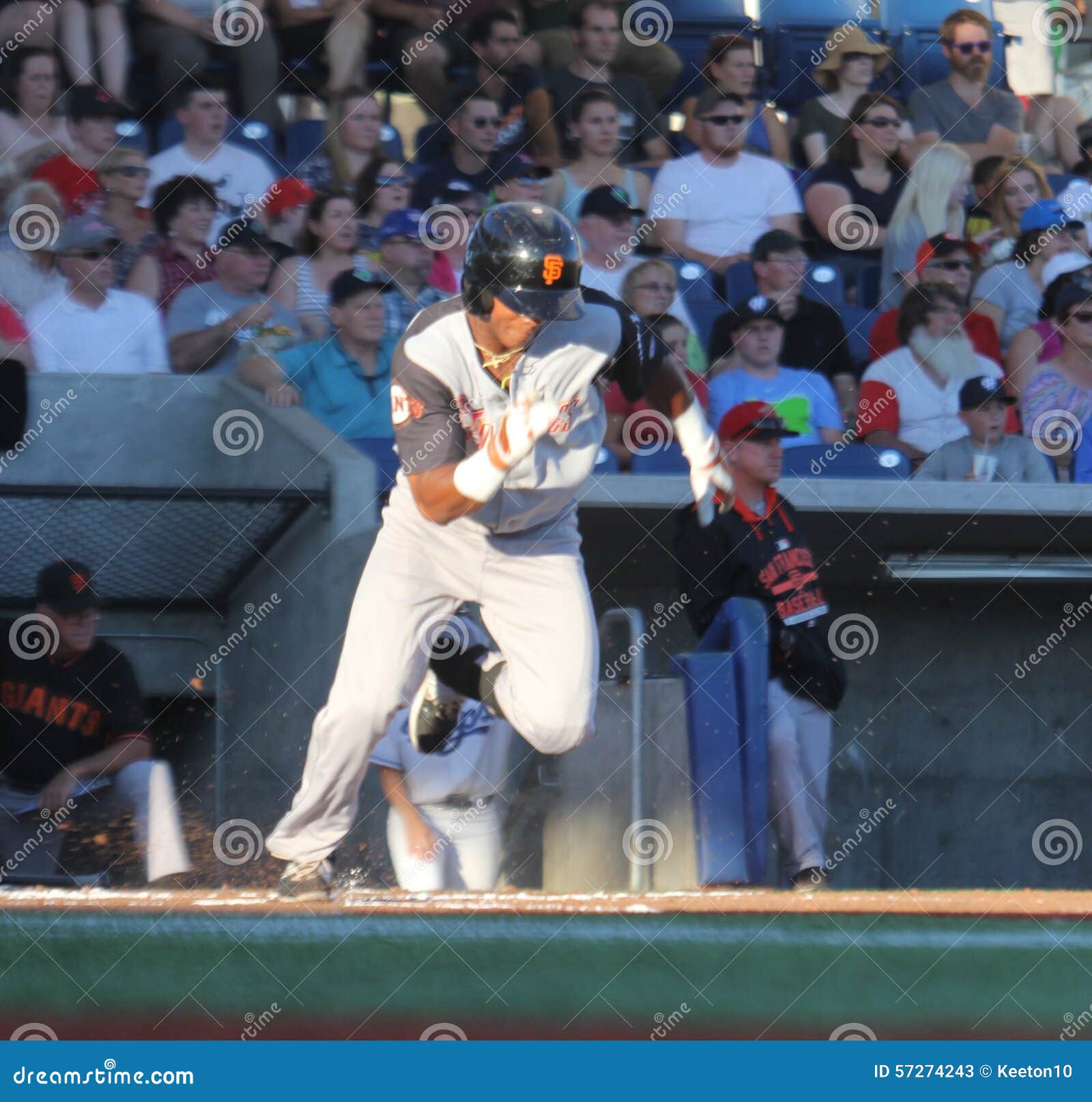 Junior Amion editorial stock photo. Image of keizer, field - 57274243