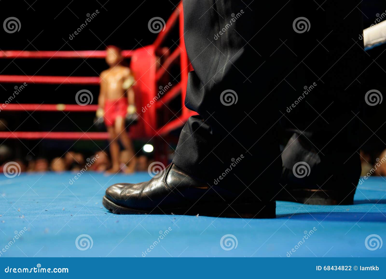 Junior kick boxer stock photo. Image of kickboxer, boxing - 68434822